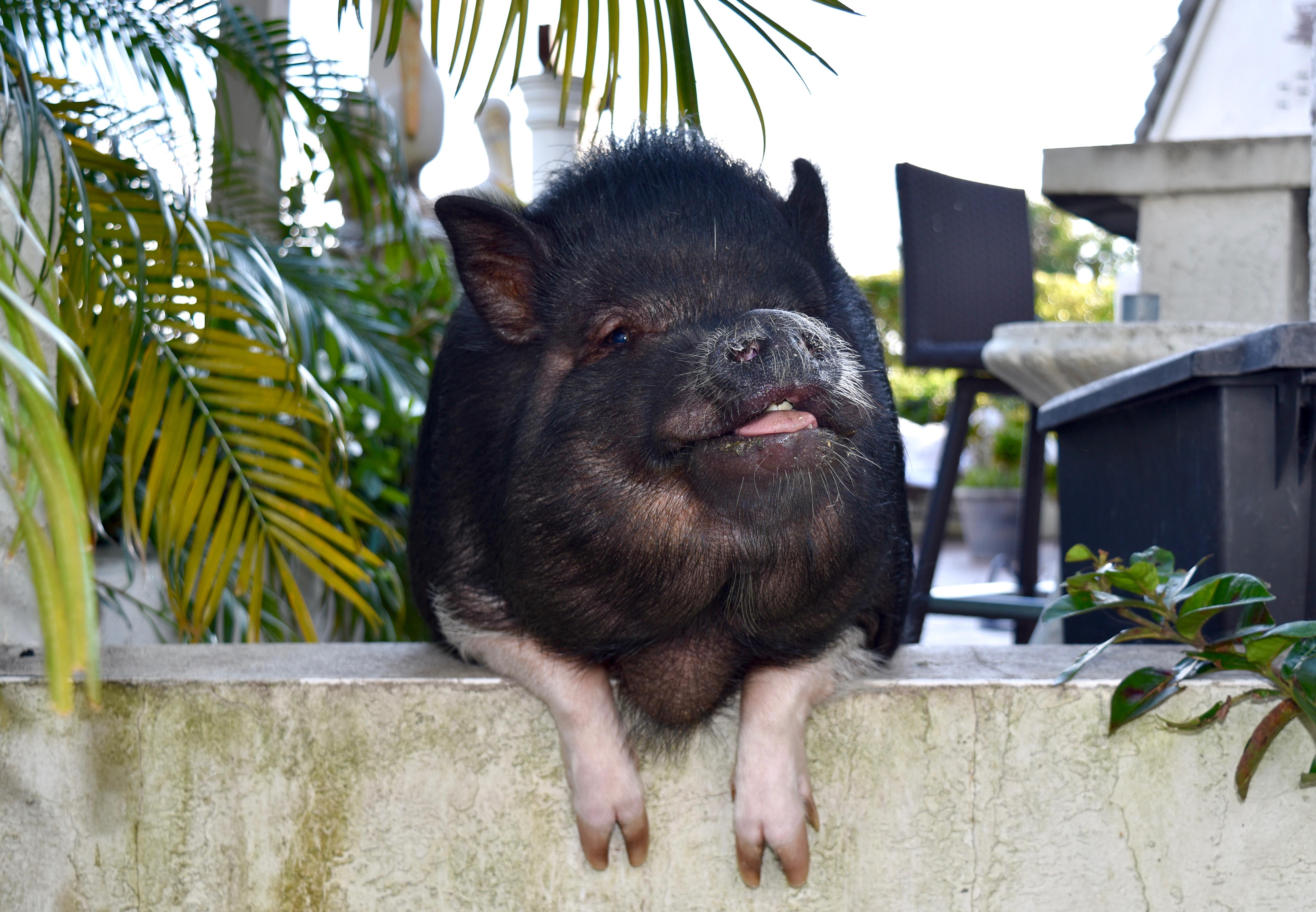 Say cheese! | Scrolller