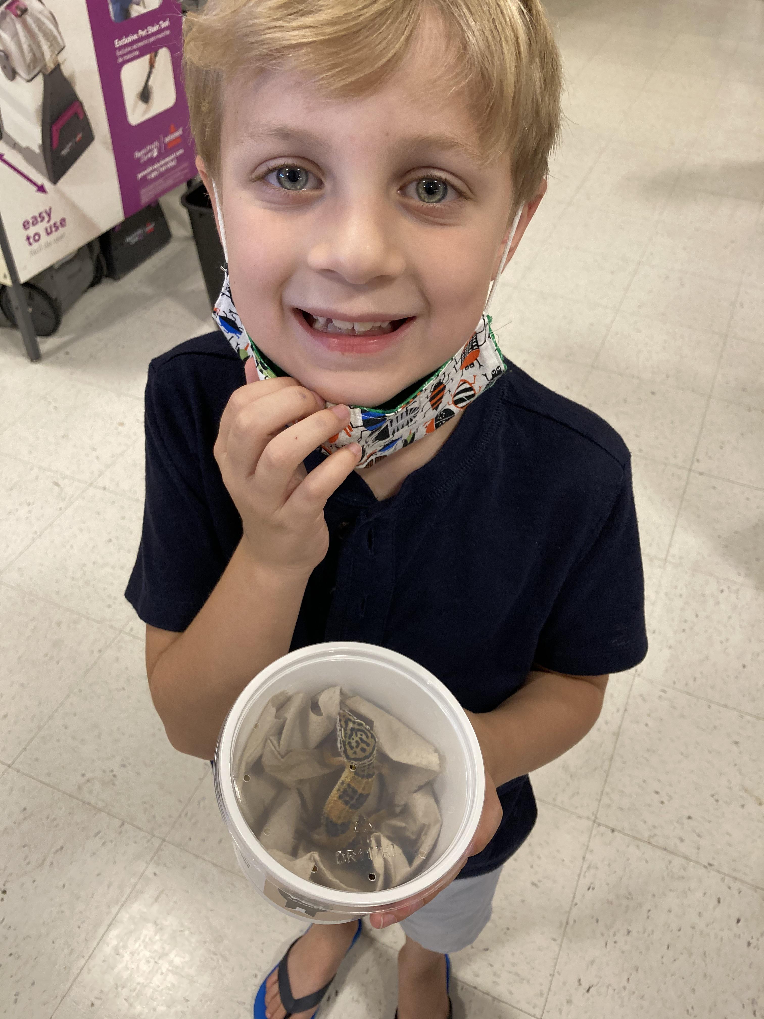 Say hello to Godzilla, my sons new Leopard Gecko! | Scrolller