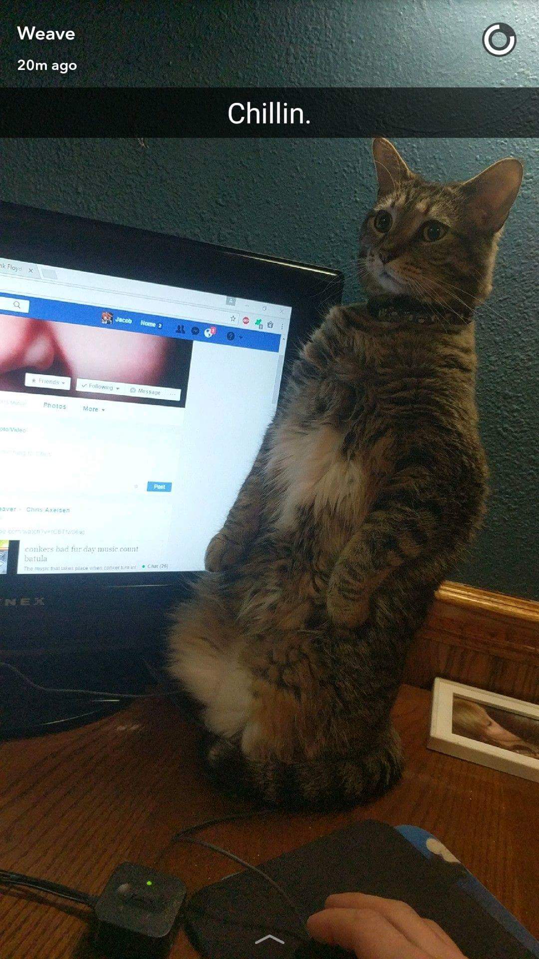 Say hello to mr. Bugs | Scrolller