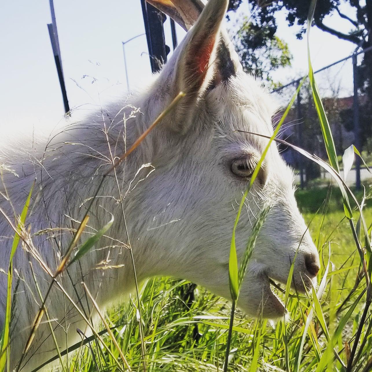 Say hello to Richie! | Scrolller