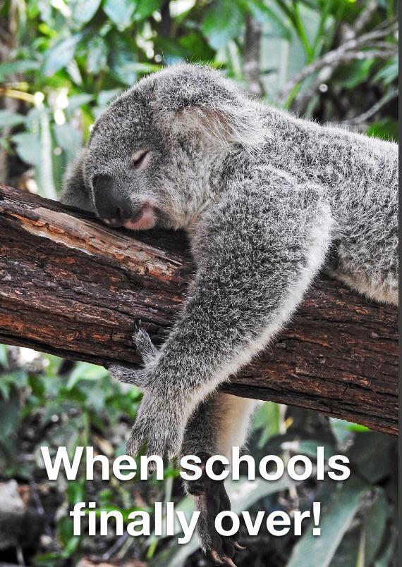 Schools out | Scrolller