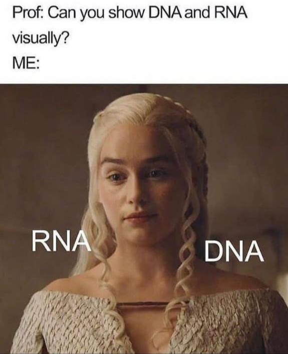 Science meme go brrrrrrrrrrrrrr | Scrolller