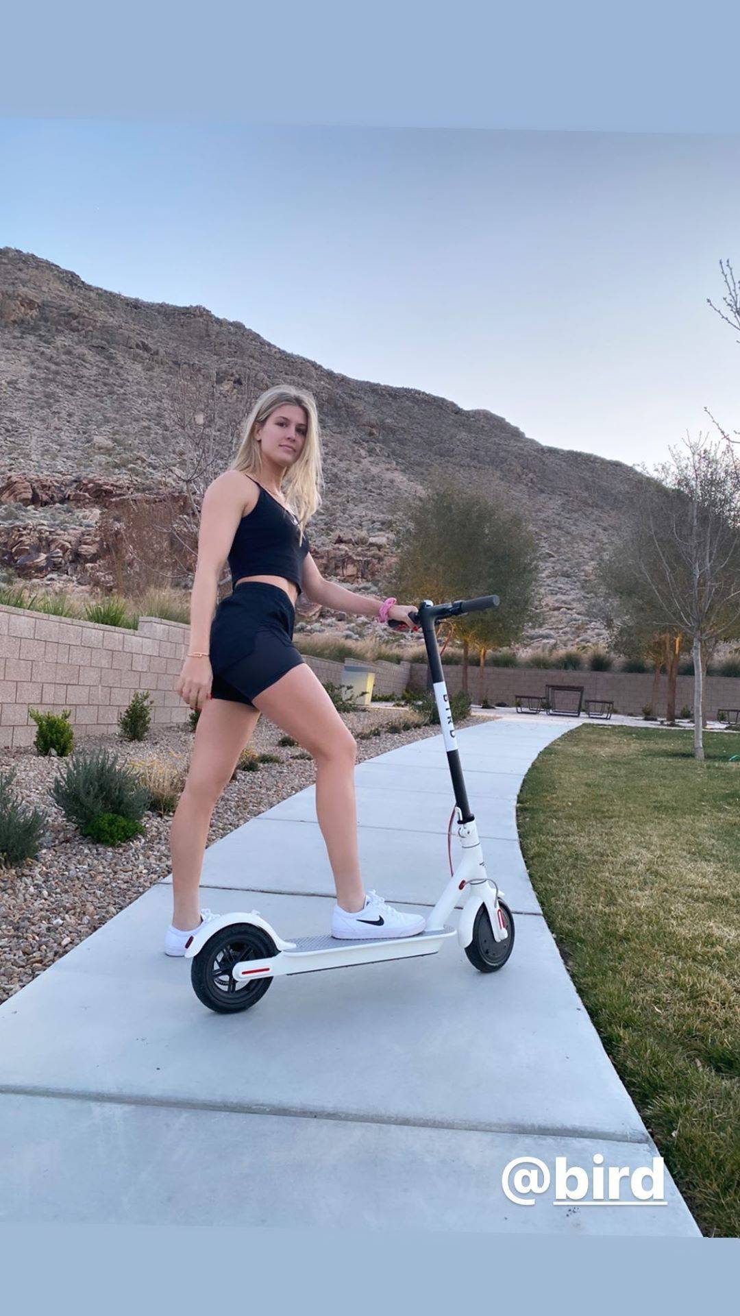 Scooter bird | Scrolller