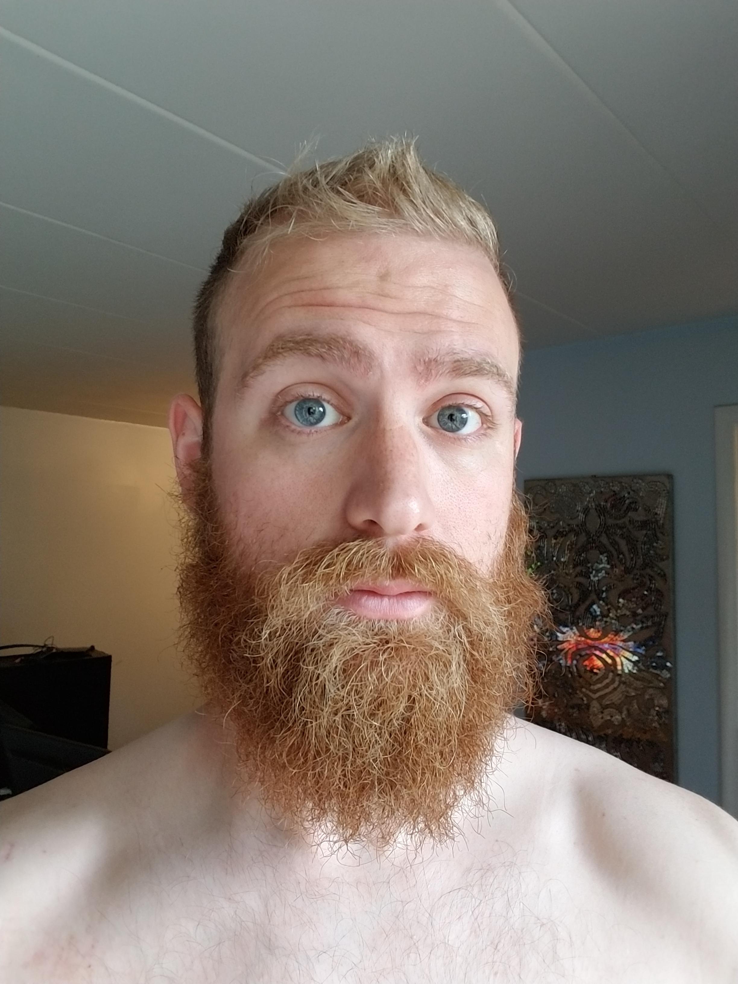 Scouring the Seas in Search of Facesitters and Panties to Raid | Scrolller