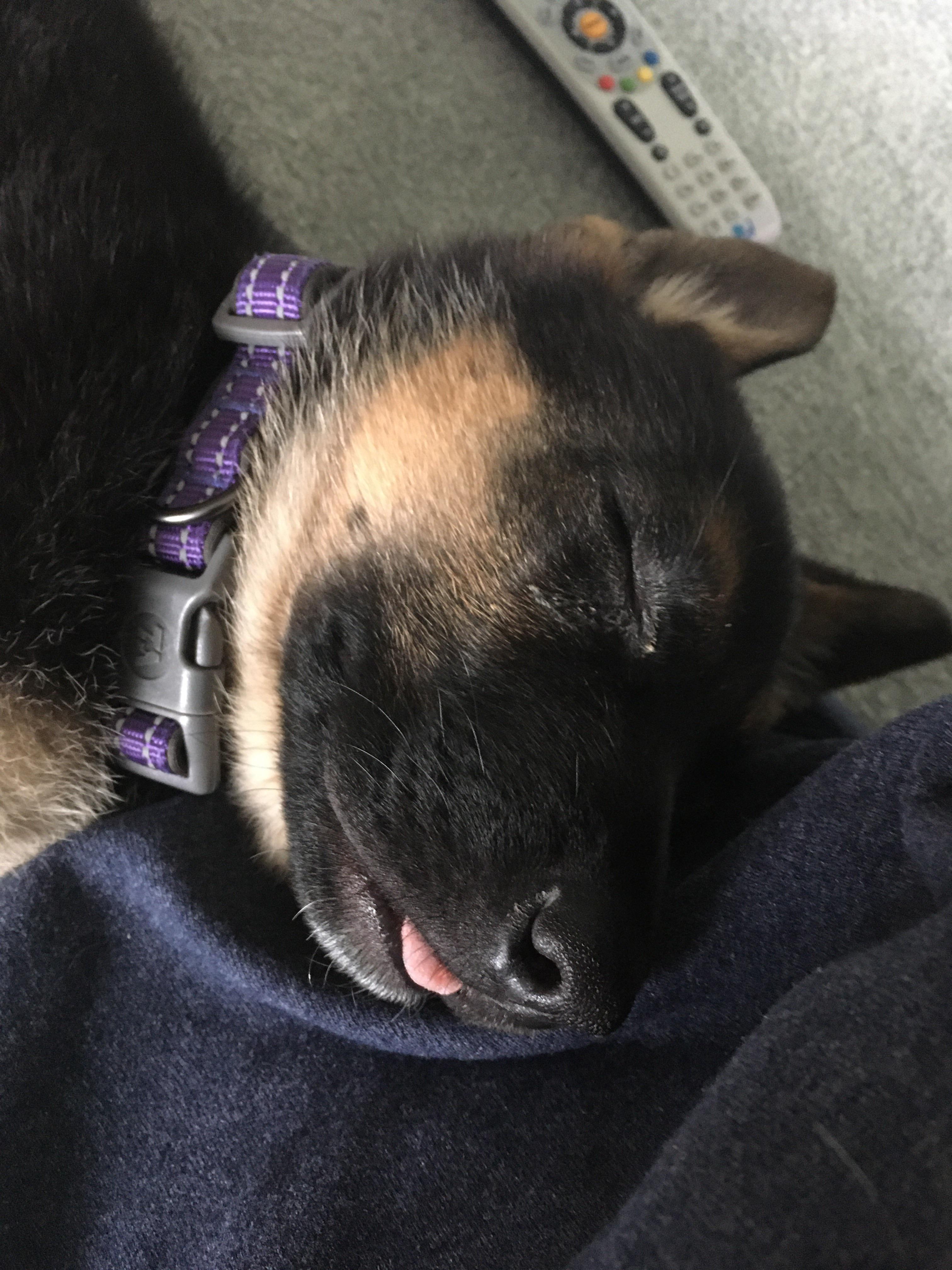 Scout’s first blop | Scrolller