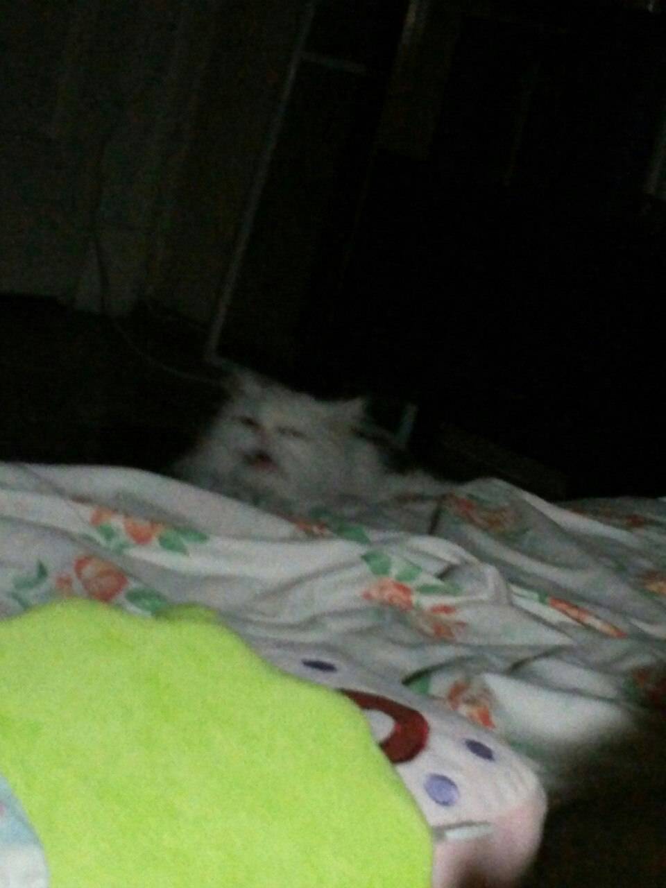 Cursed_scrunge | Scrolller