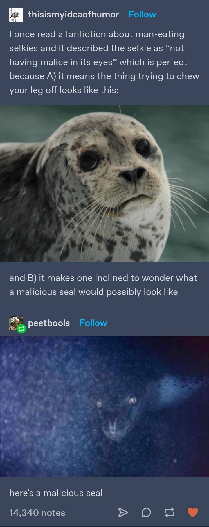 Seal | Scrolller