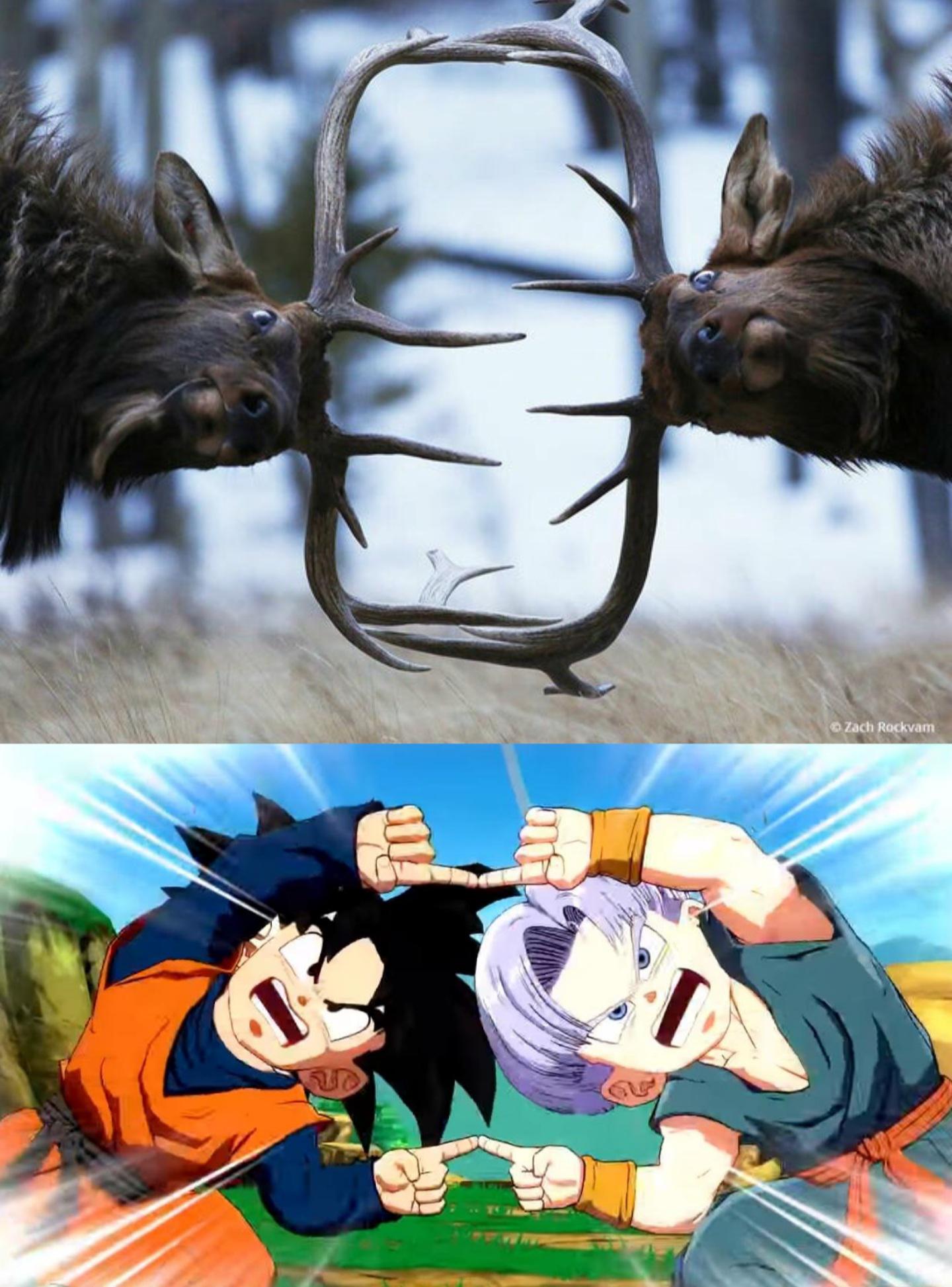 See no difference | Scrolller