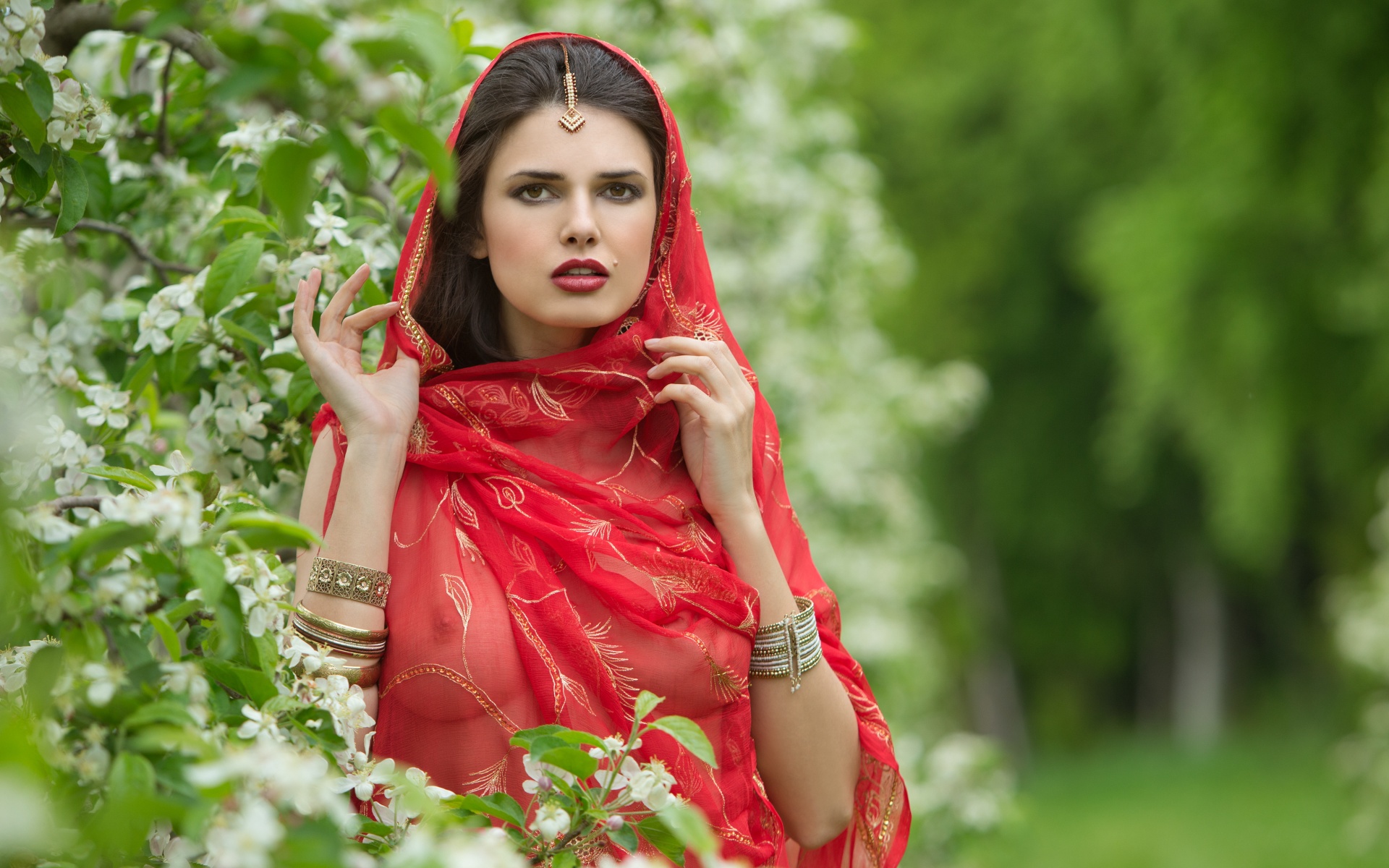 See-thru Veil | Scrolller