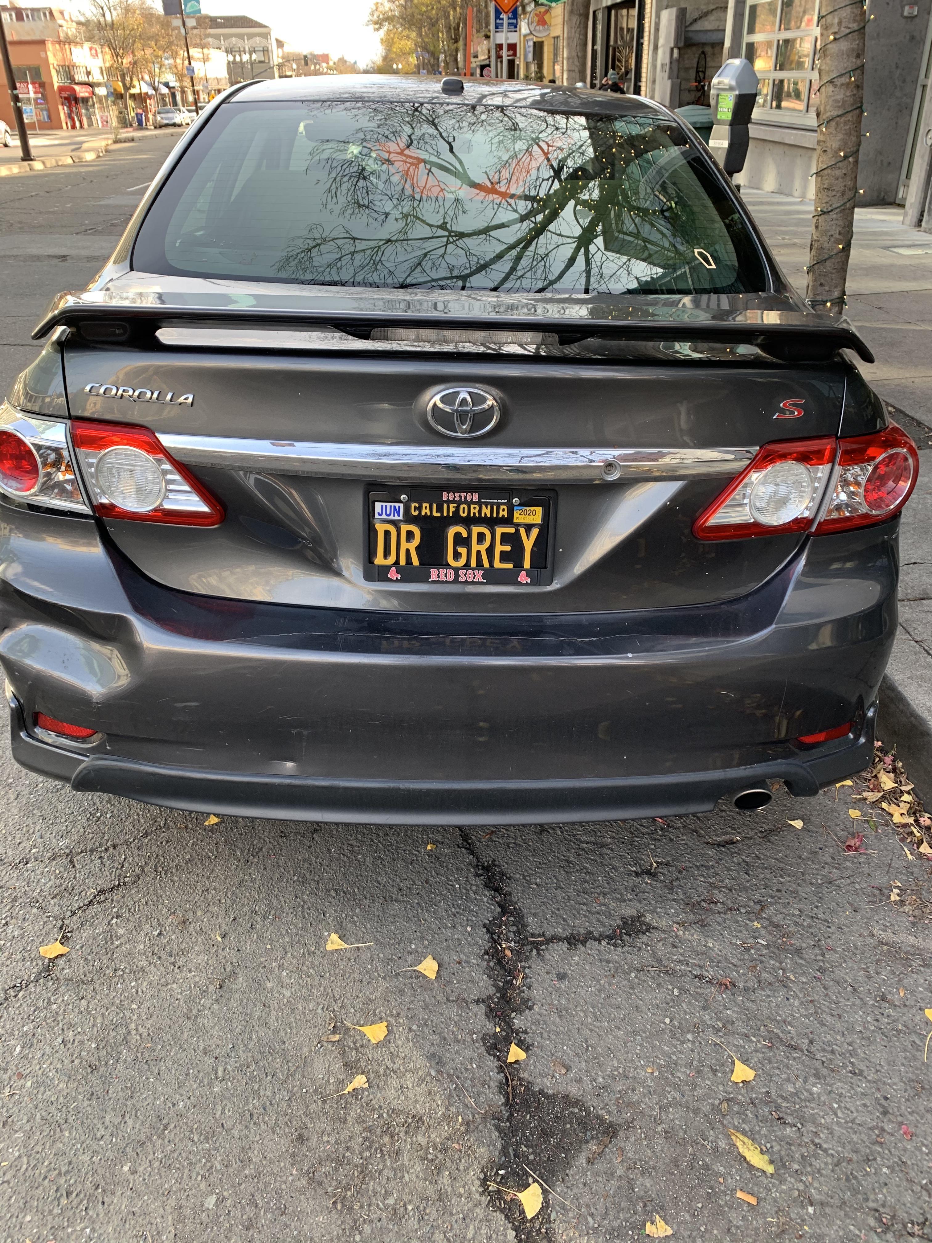 Seems someone is a little jealous of Dr. Brady | Scrolller