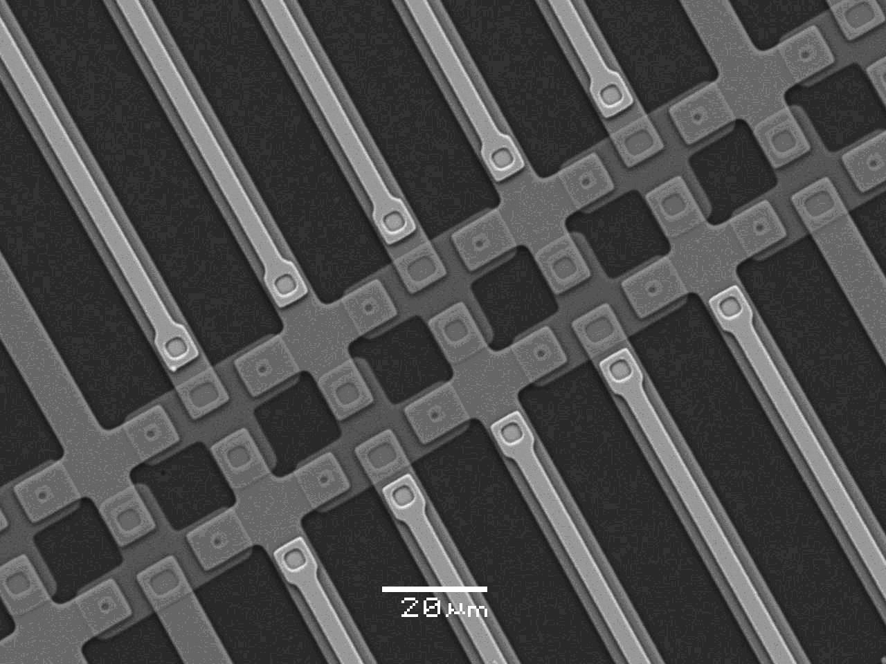 SEM Image of Josephson Junction 'Ladder' | Scrolller