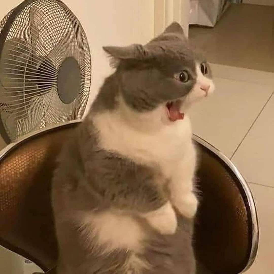 sequence of misunderstandings nowadays | Scrolller