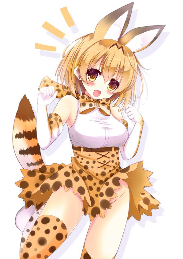 Serval no-pan [Kemono Friends] | Scrolller