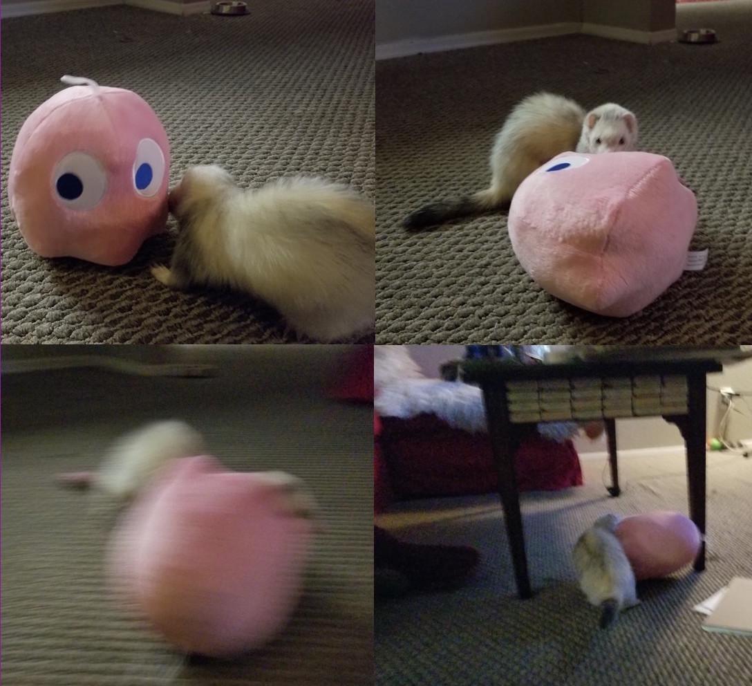 Set it down the floor... and it's gone! | Scrolller