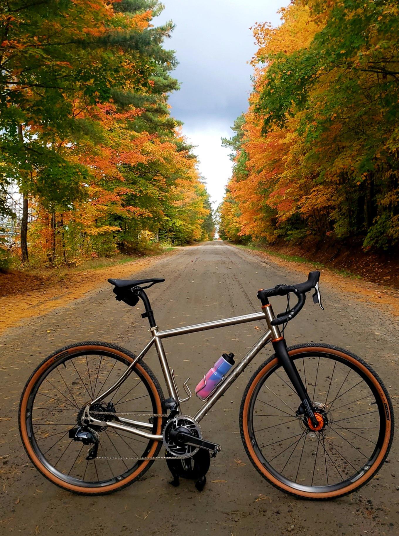 Seven Evergreen SL (OC) | Scrolller