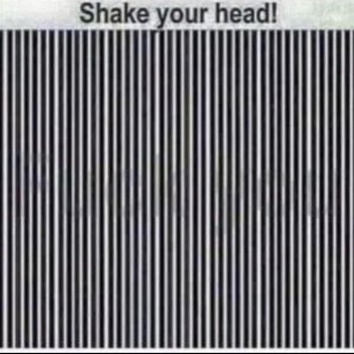 Shake your head | Scrolller