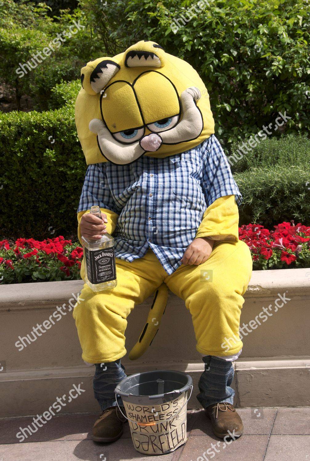 Shameless_Irl | Scrolller