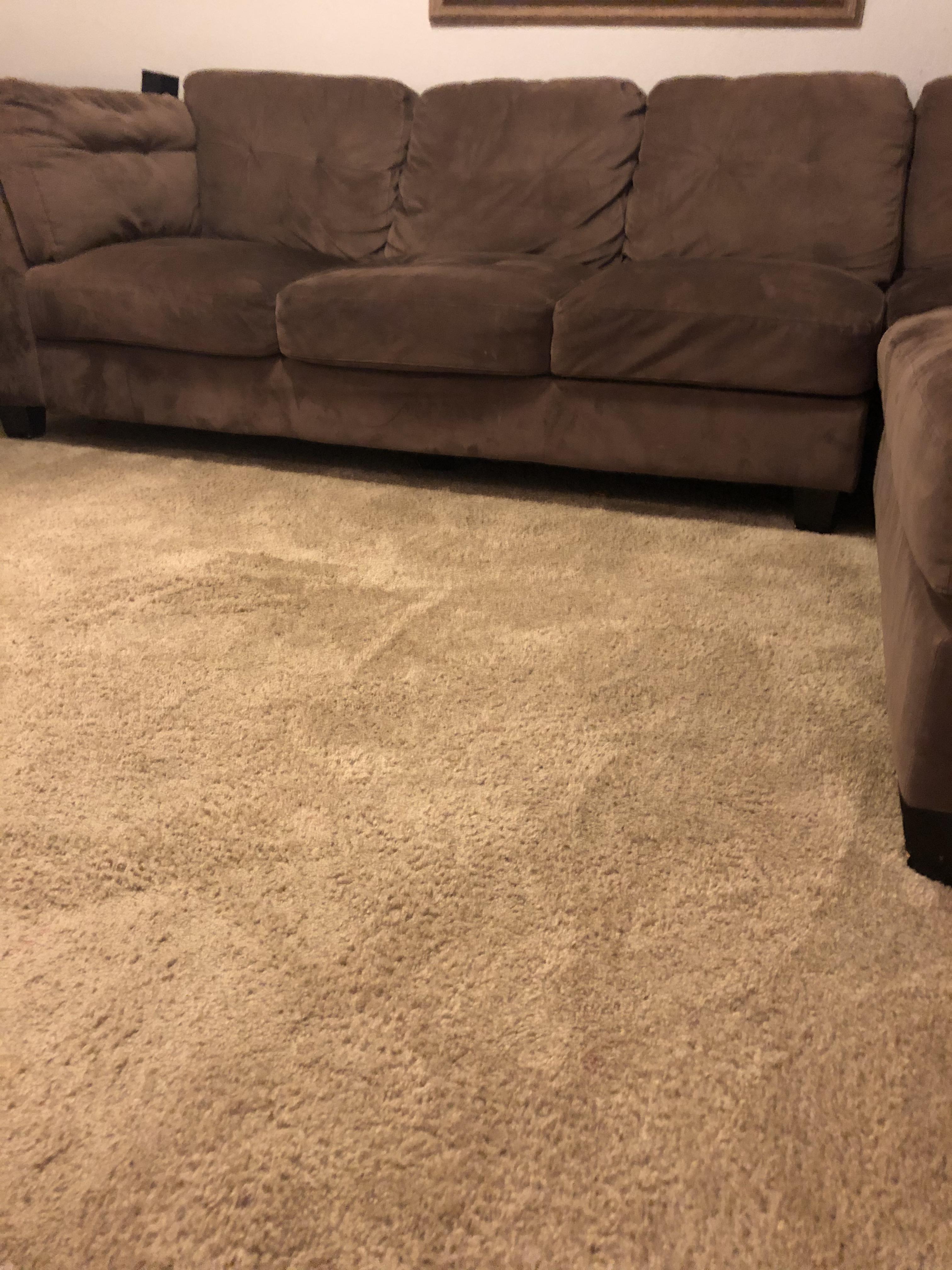 Shampooed carpet and couch | Scrolller