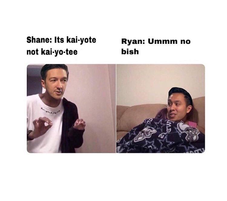 Shane... | Scrolller