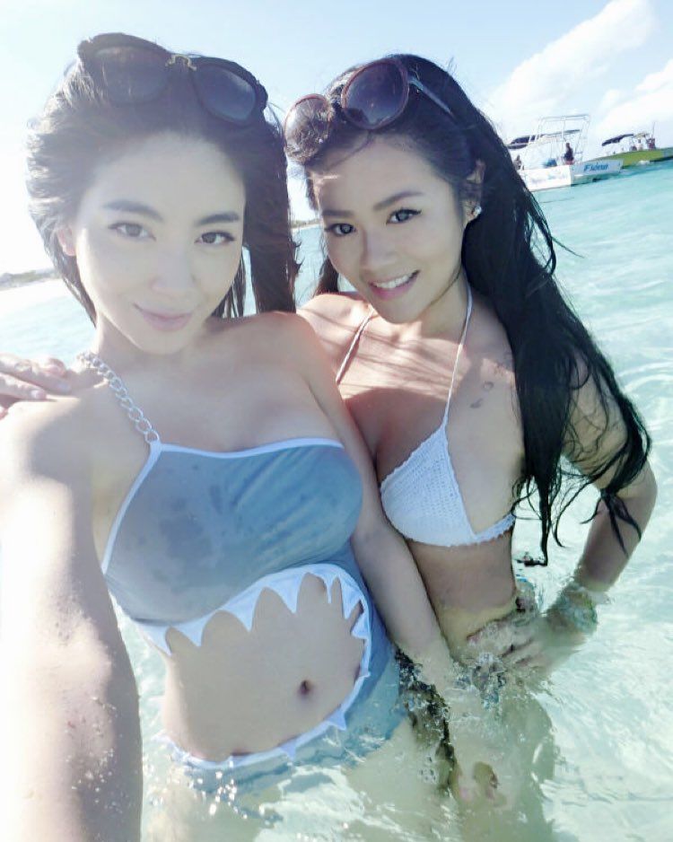 Shark Teeth | Scrolller