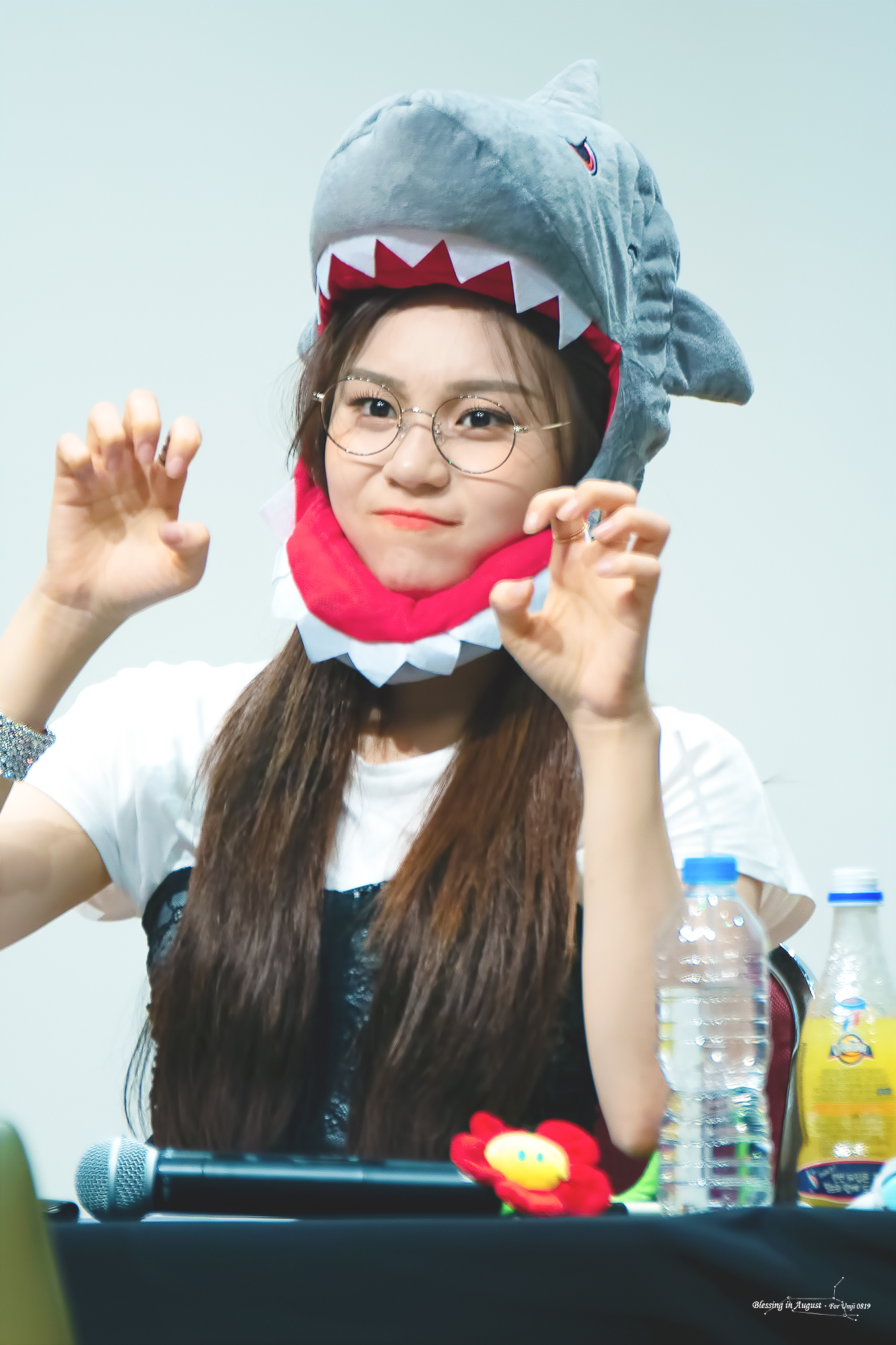 Shark Umji | Scrolller