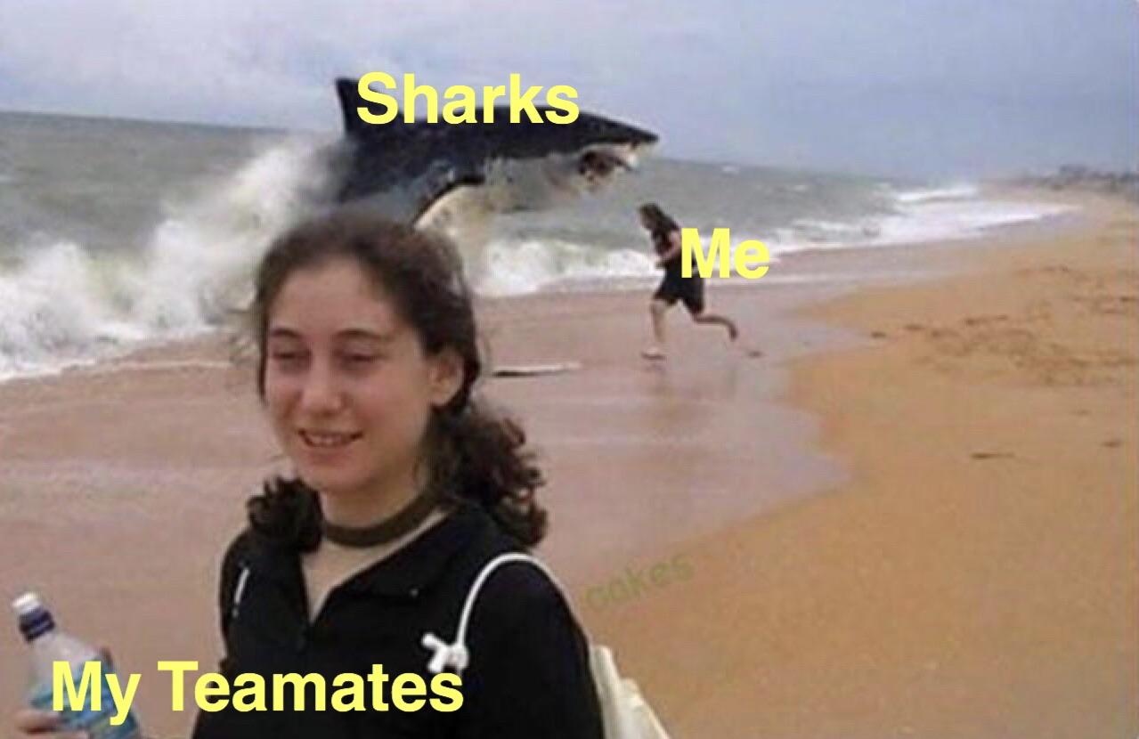 Sharks are so annoying | Scrolller