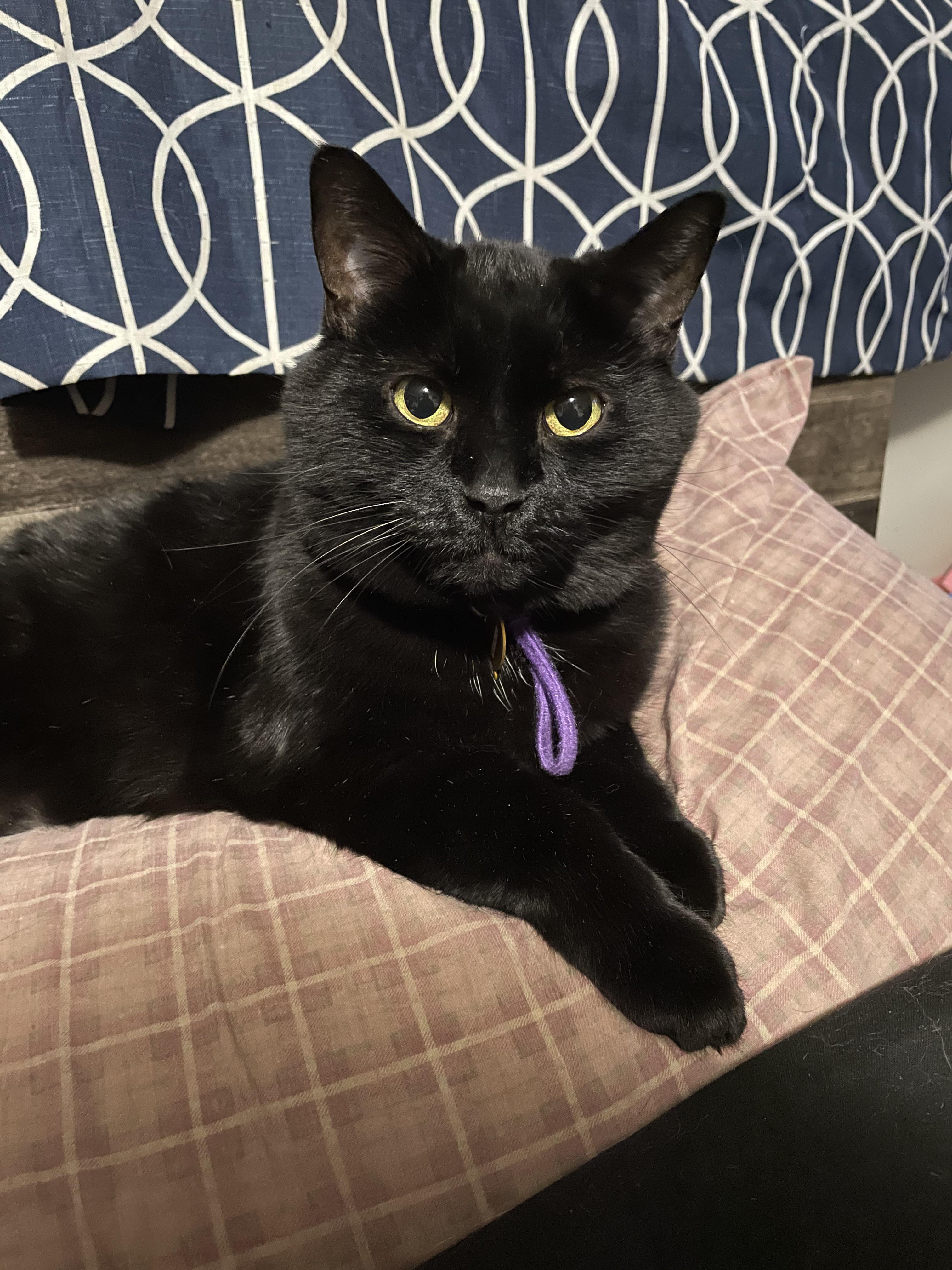 She always poses for pictures like the gem she is! ️ | Scrolller