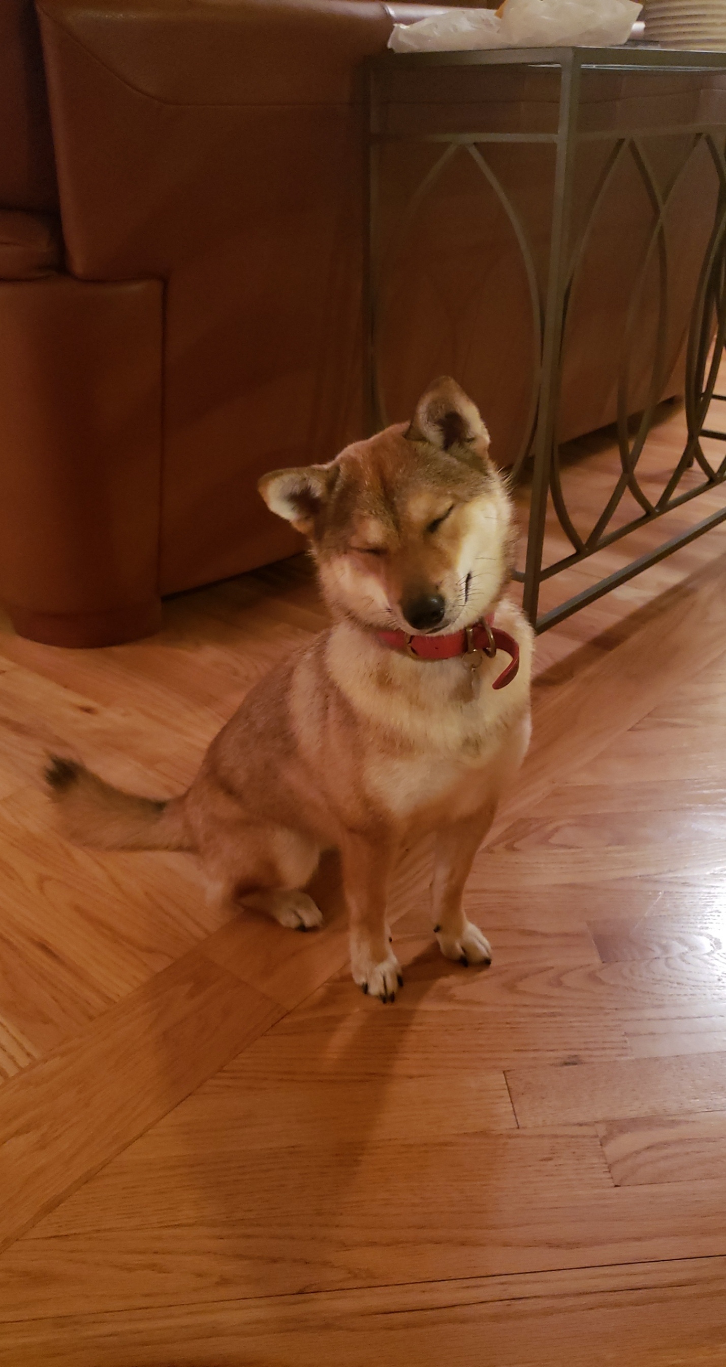 She always poses | Scrolller