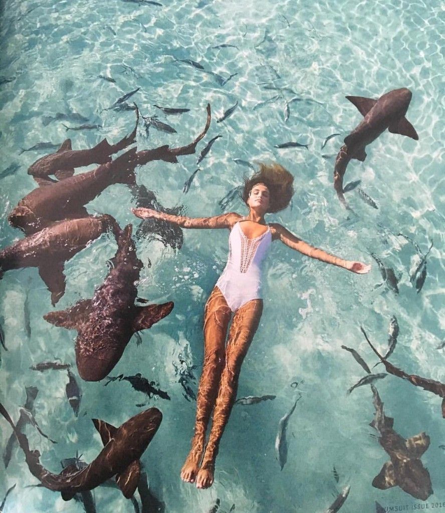 She enjoys swimming with the sharks without being eaten alive | Scrolller