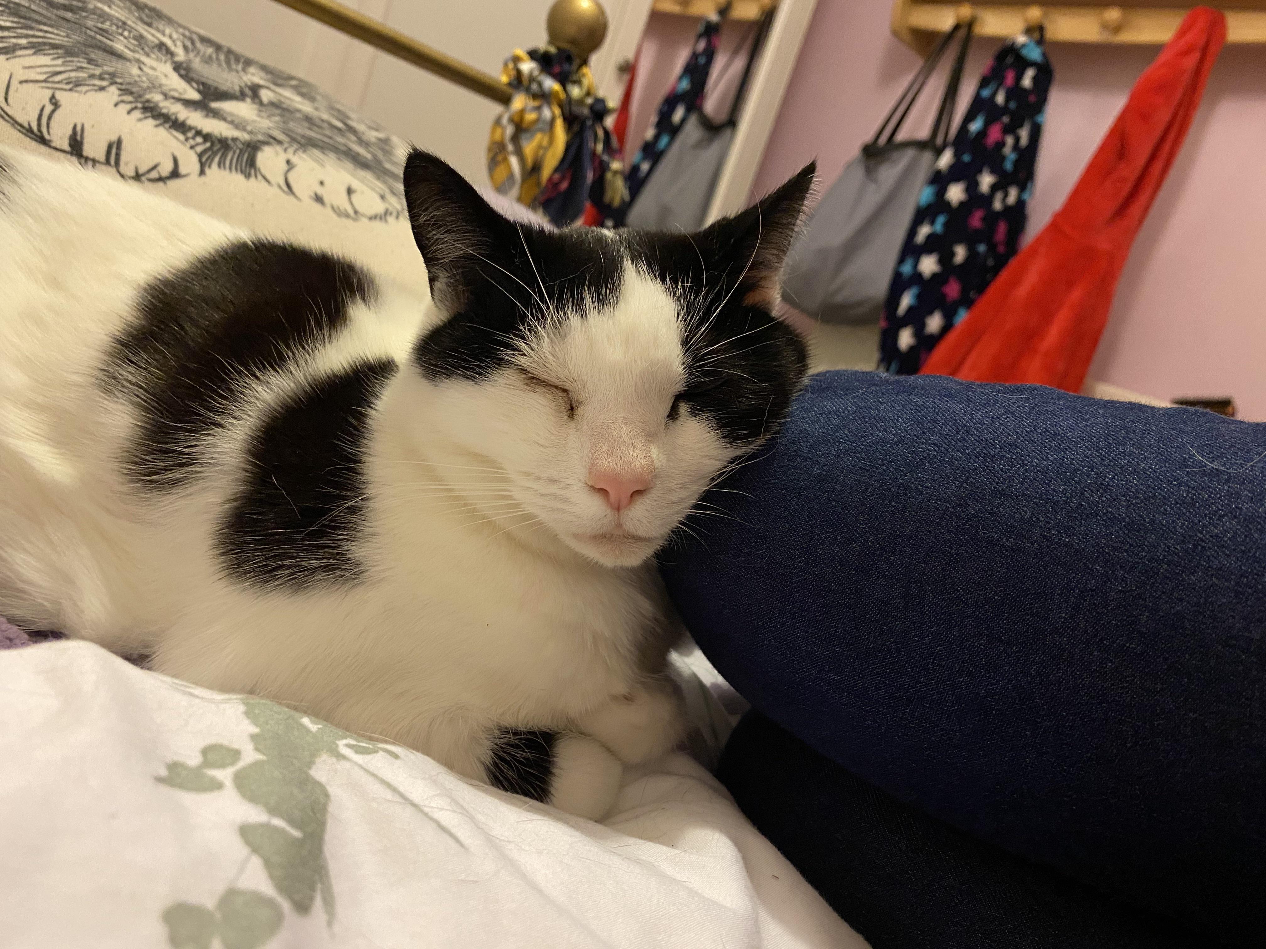 She fell asleep against my knee | Scrolller