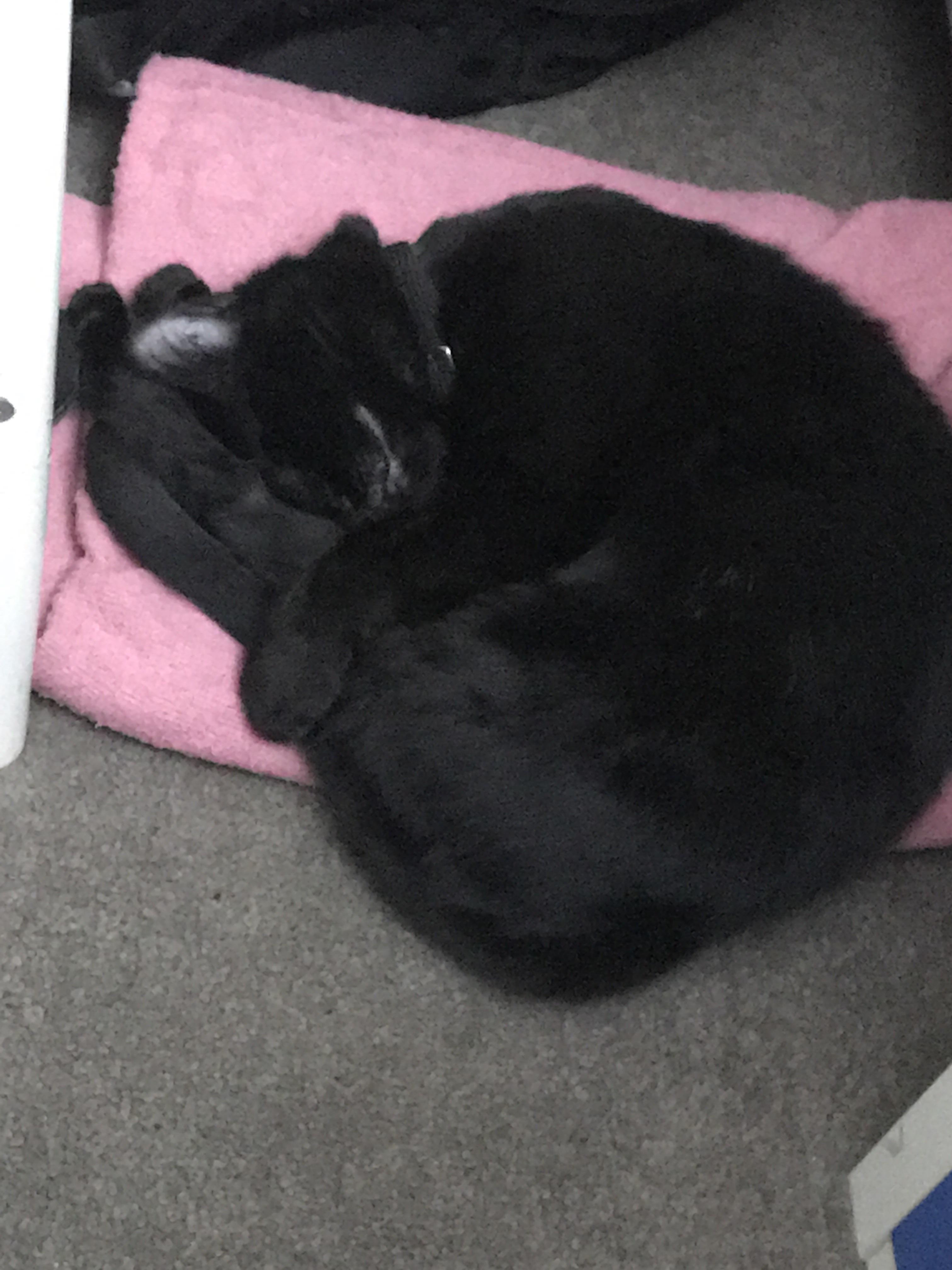 She fell asleep like this | Scrolller