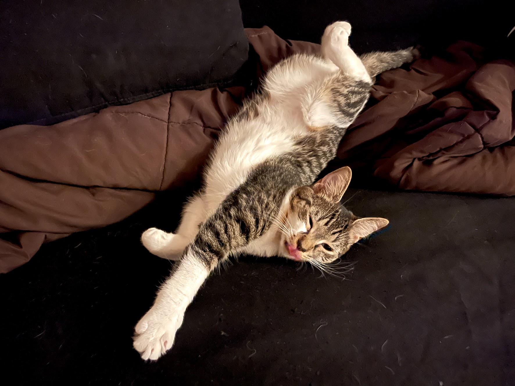 She Fell Asleep Like This | Scrolller