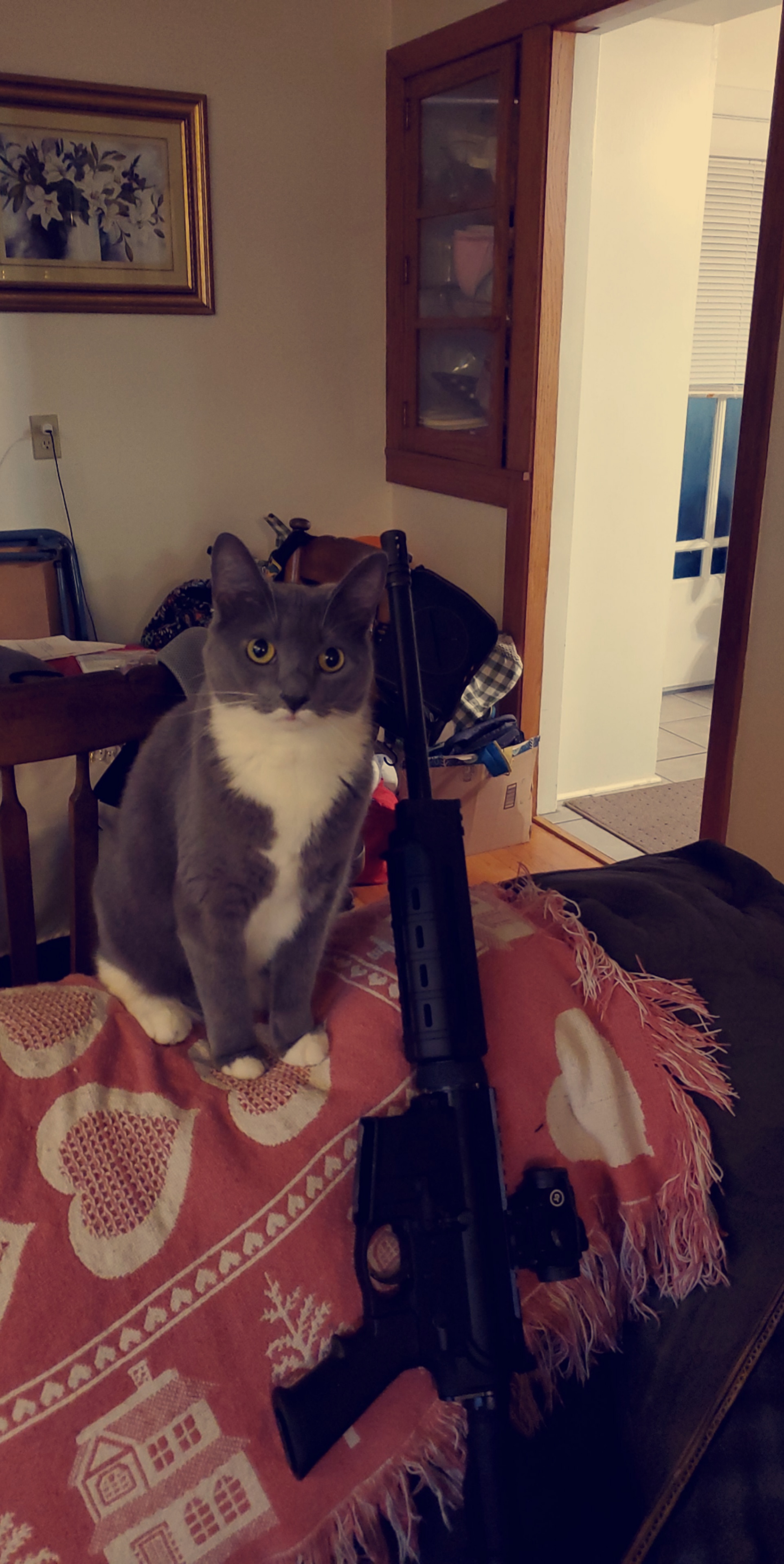 She had to inspect my first AR. | Scrolller