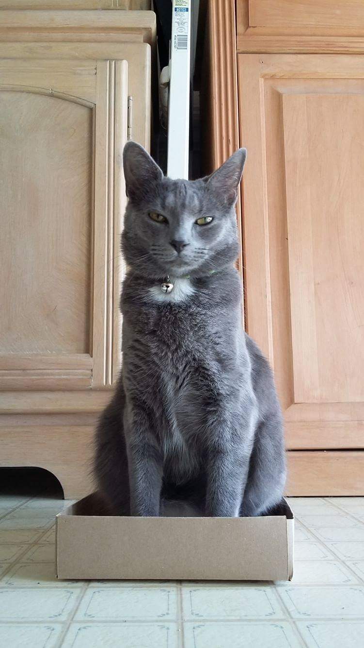 She is not amused. | Scrolller