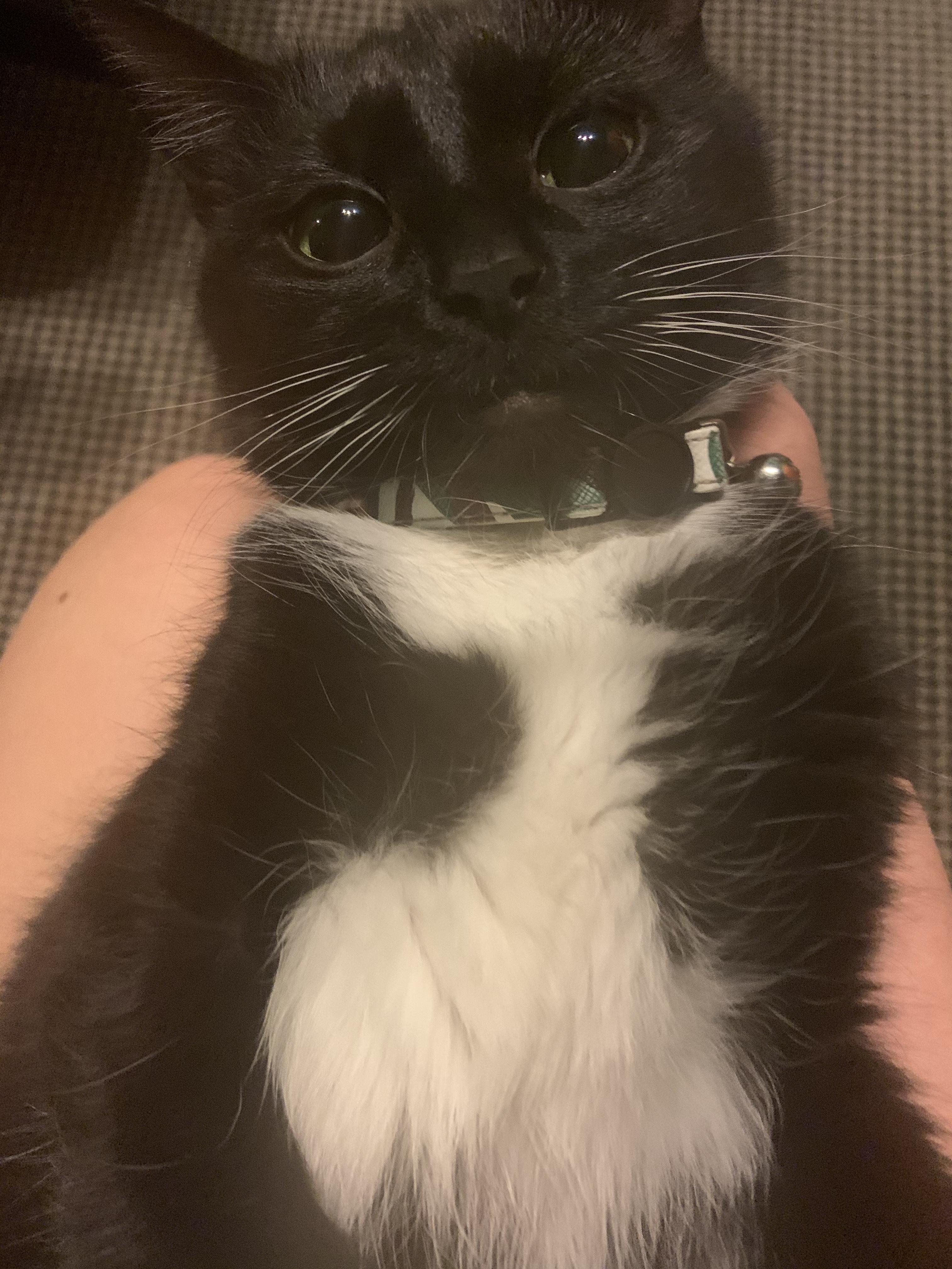 she is so derpy sometimes | Scrolller