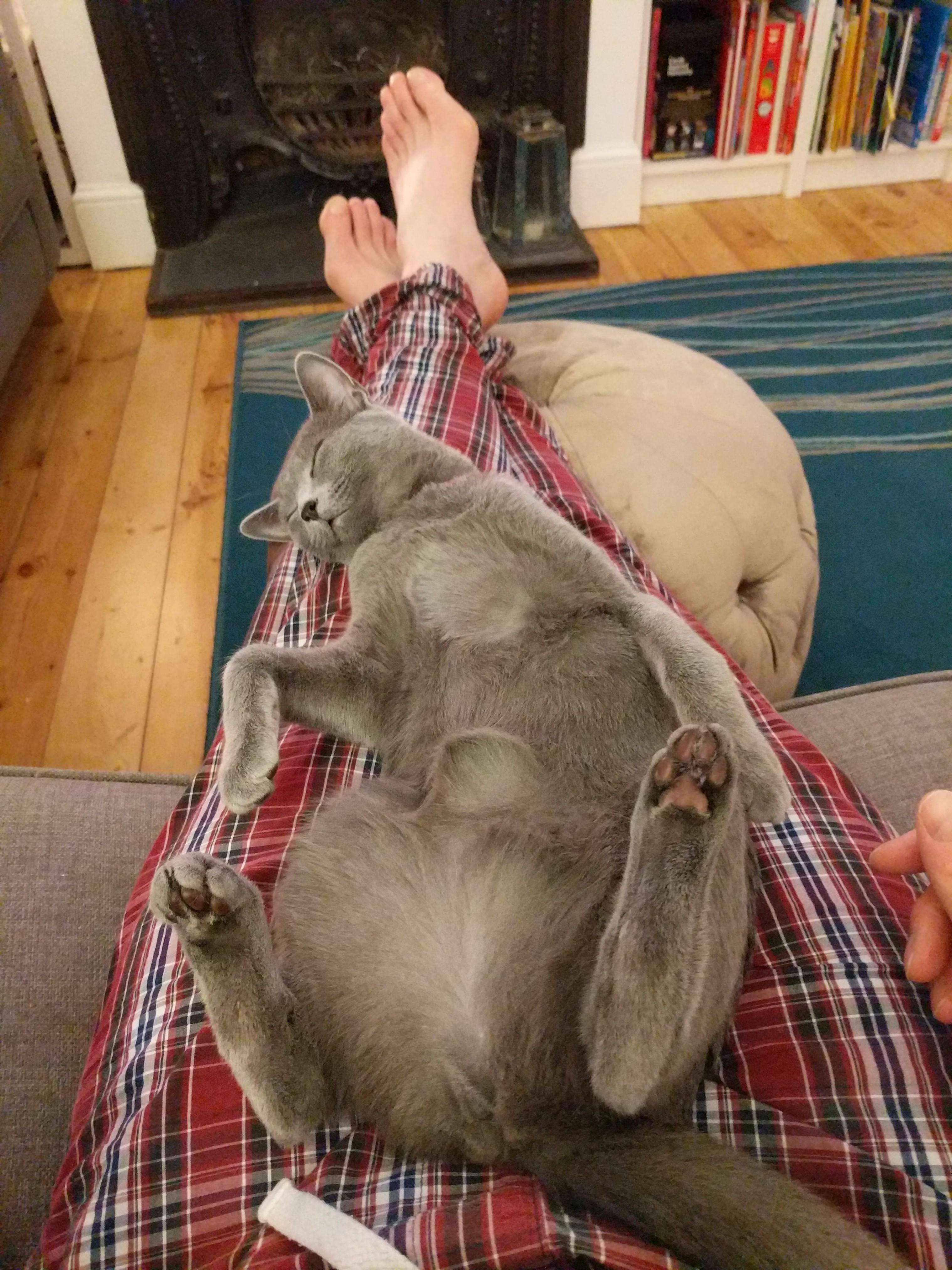 She likes a belly rub | Scrolller