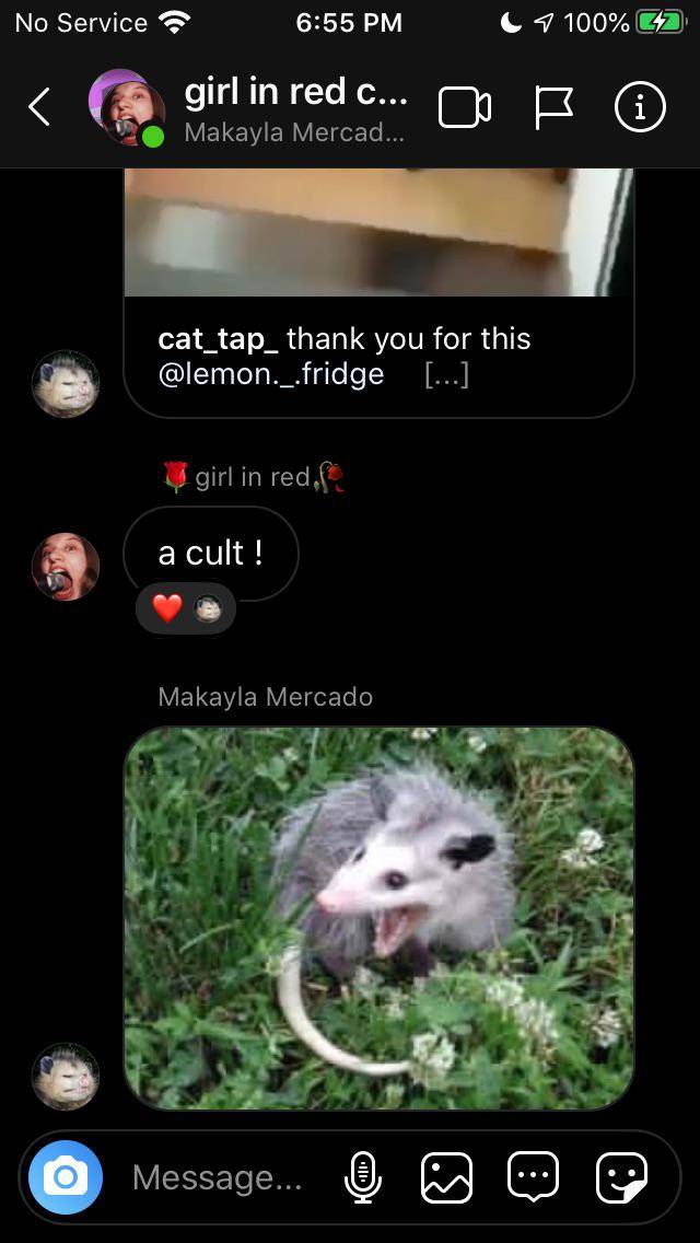 SHE LOOKED IN OUR GROUP CHAT DEDICATED TO HER! | Scrolller