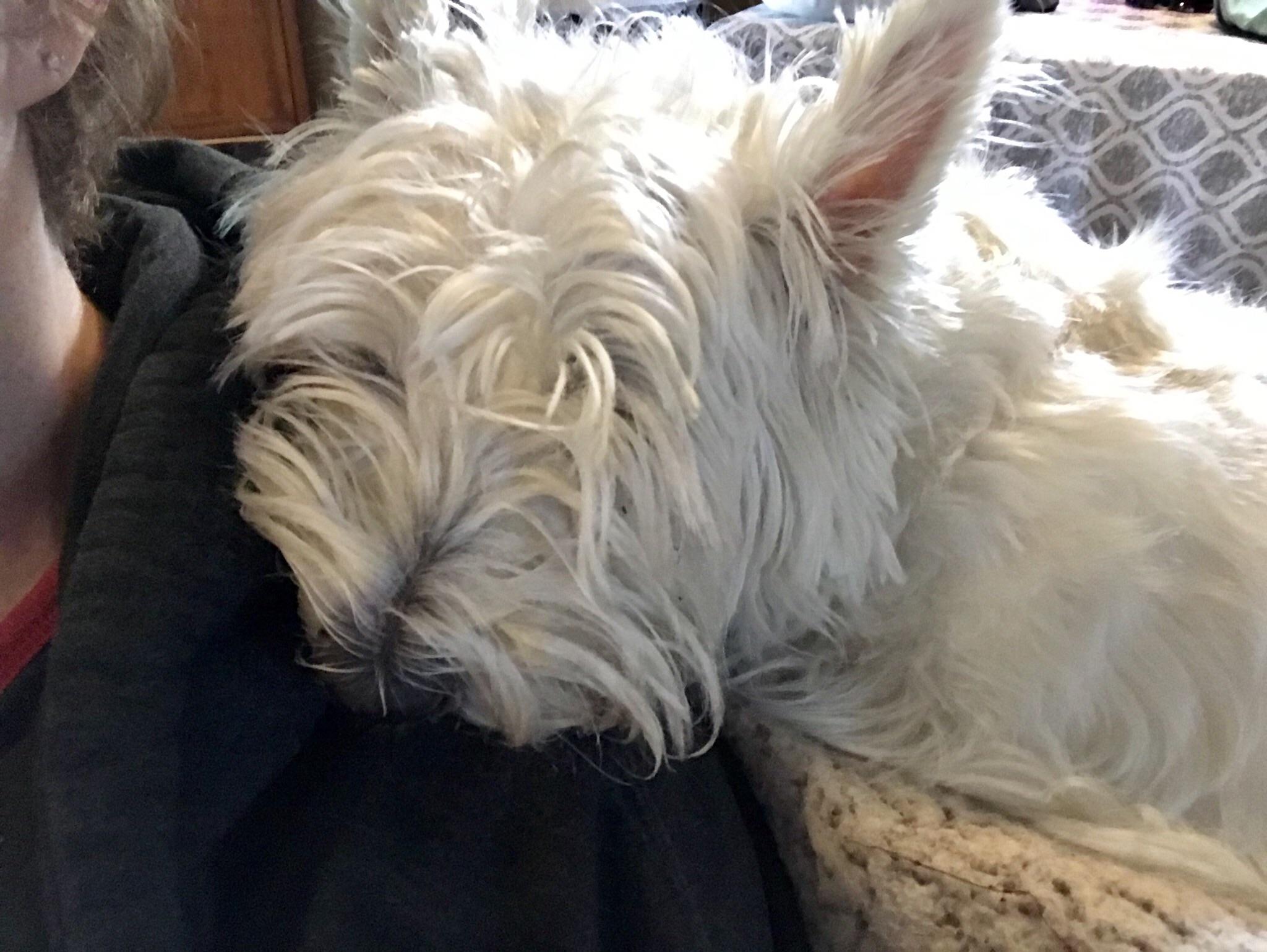 She Makes My Heart Smile | Scrolller