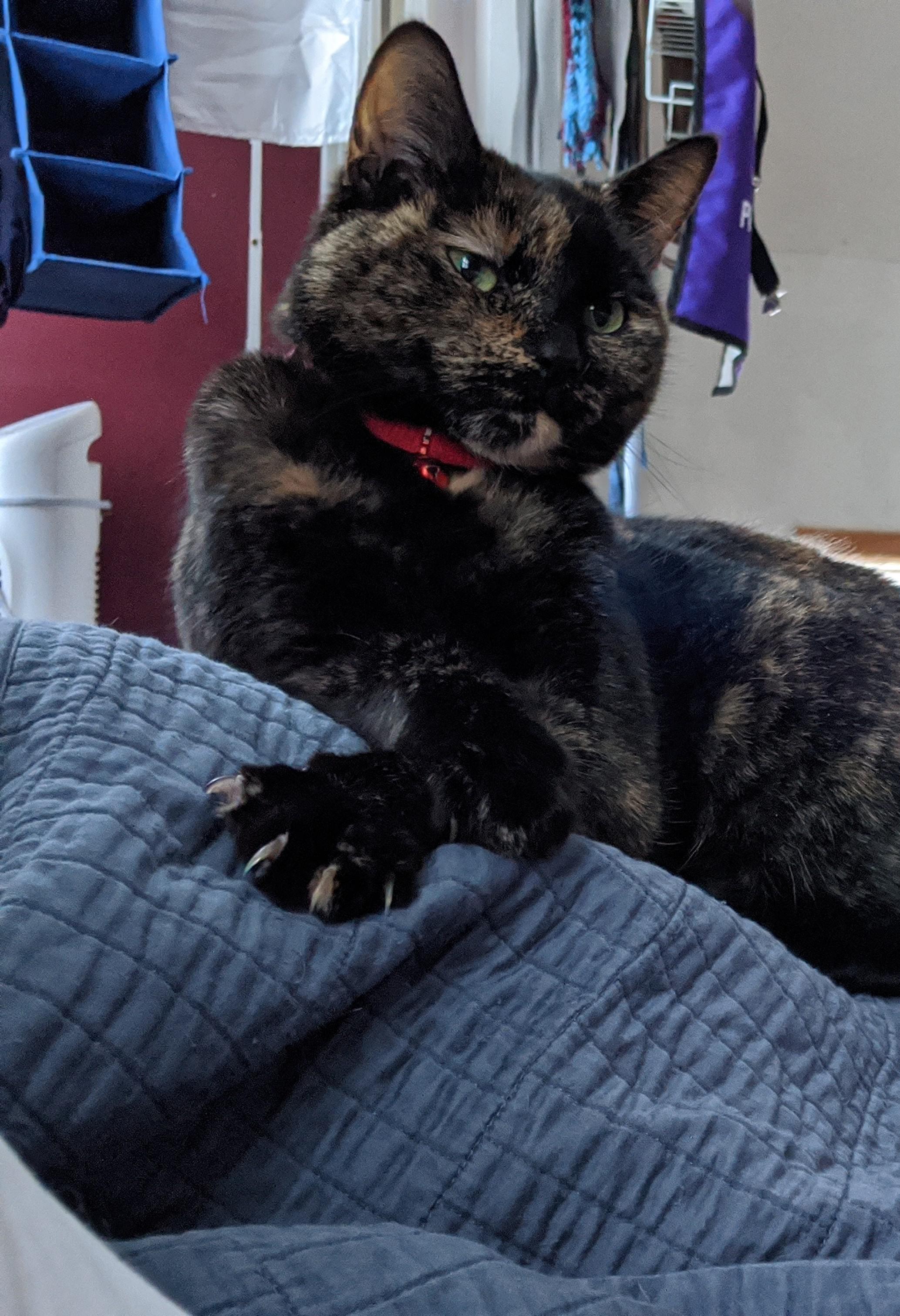 She may be a Super Villain. | Scrolller