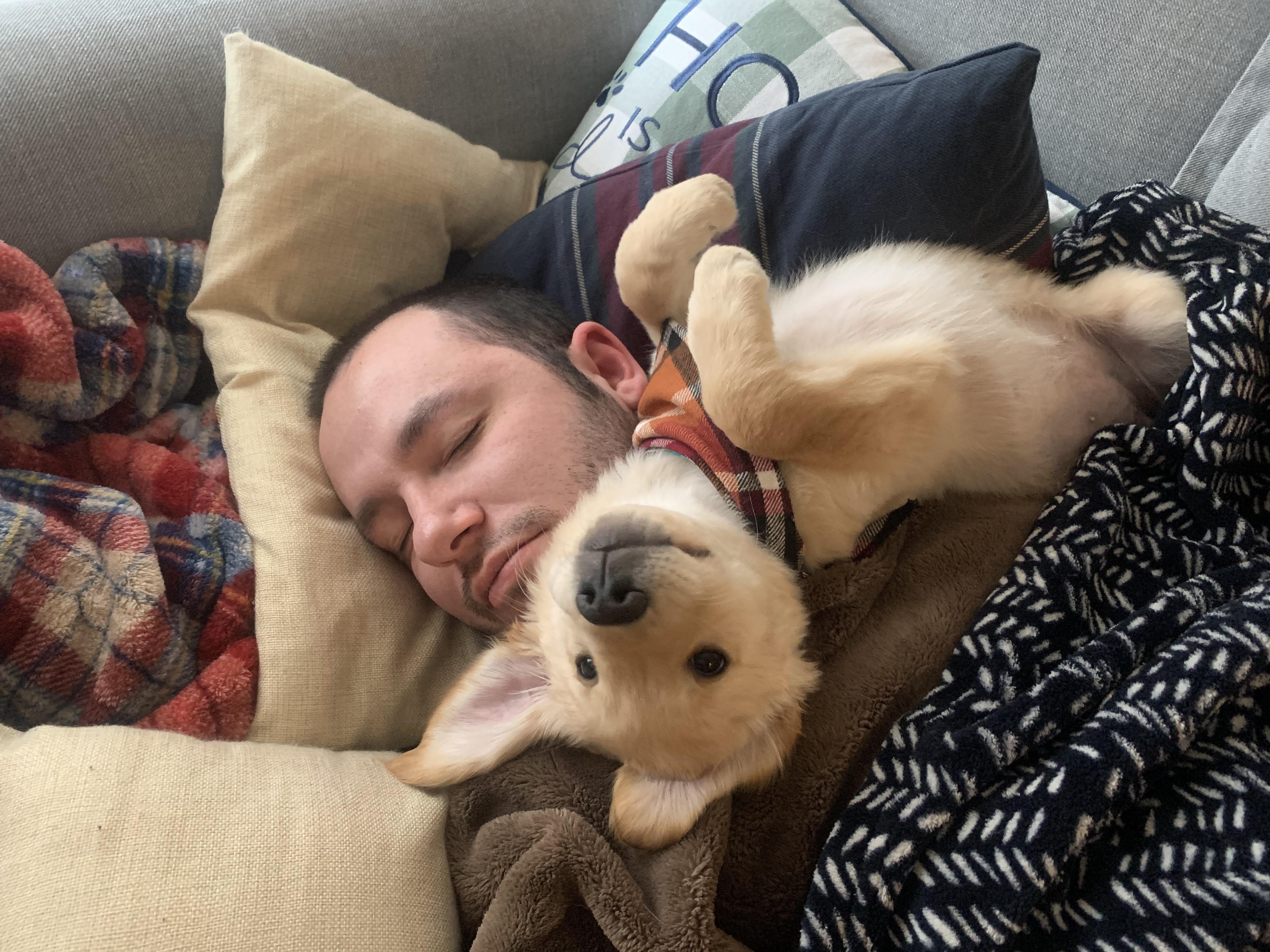 She protec | Scrolller