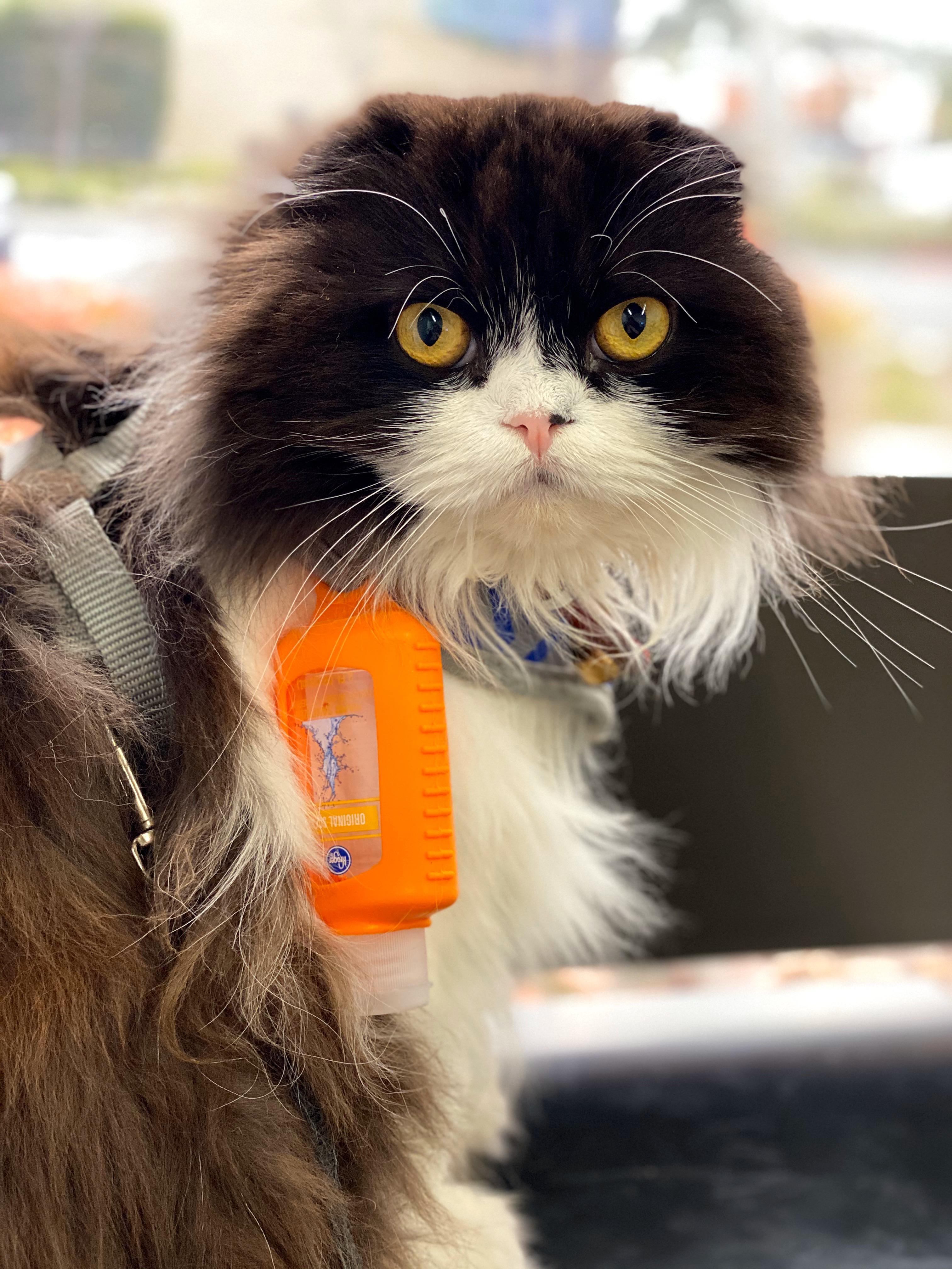 She protec, she sanitize | Scrolller