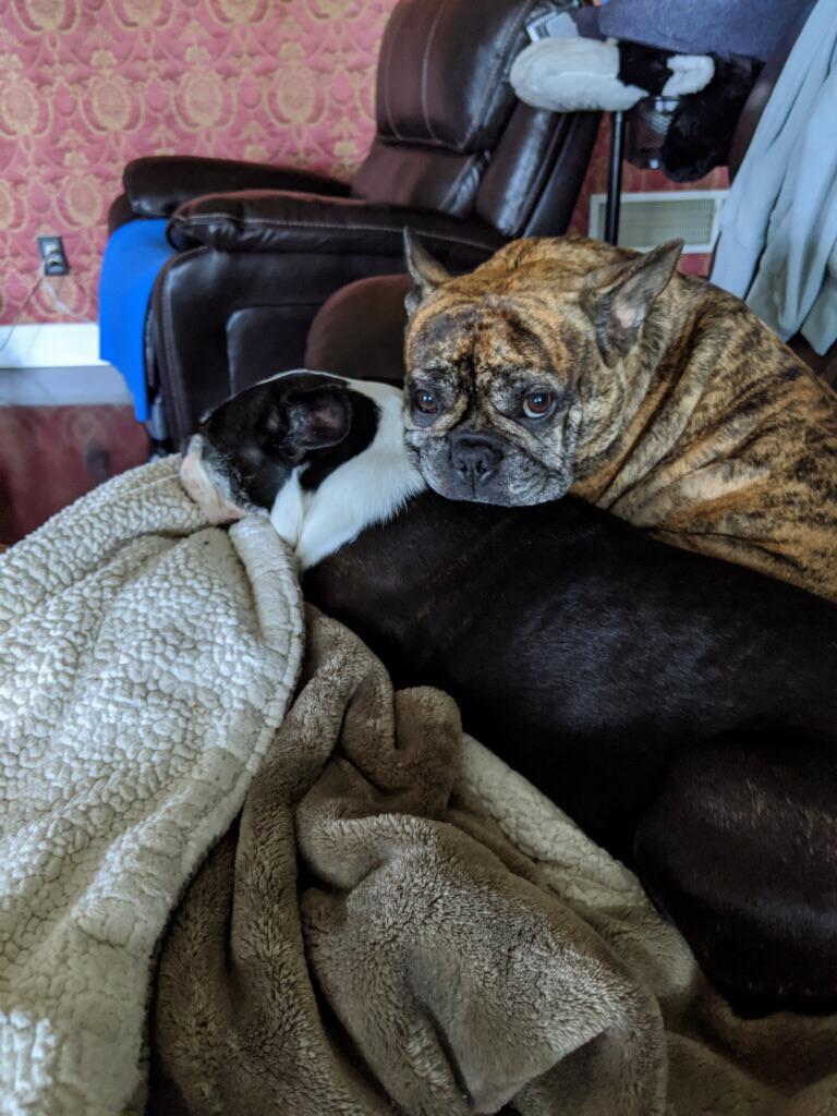 She’s a mush | Scrolller