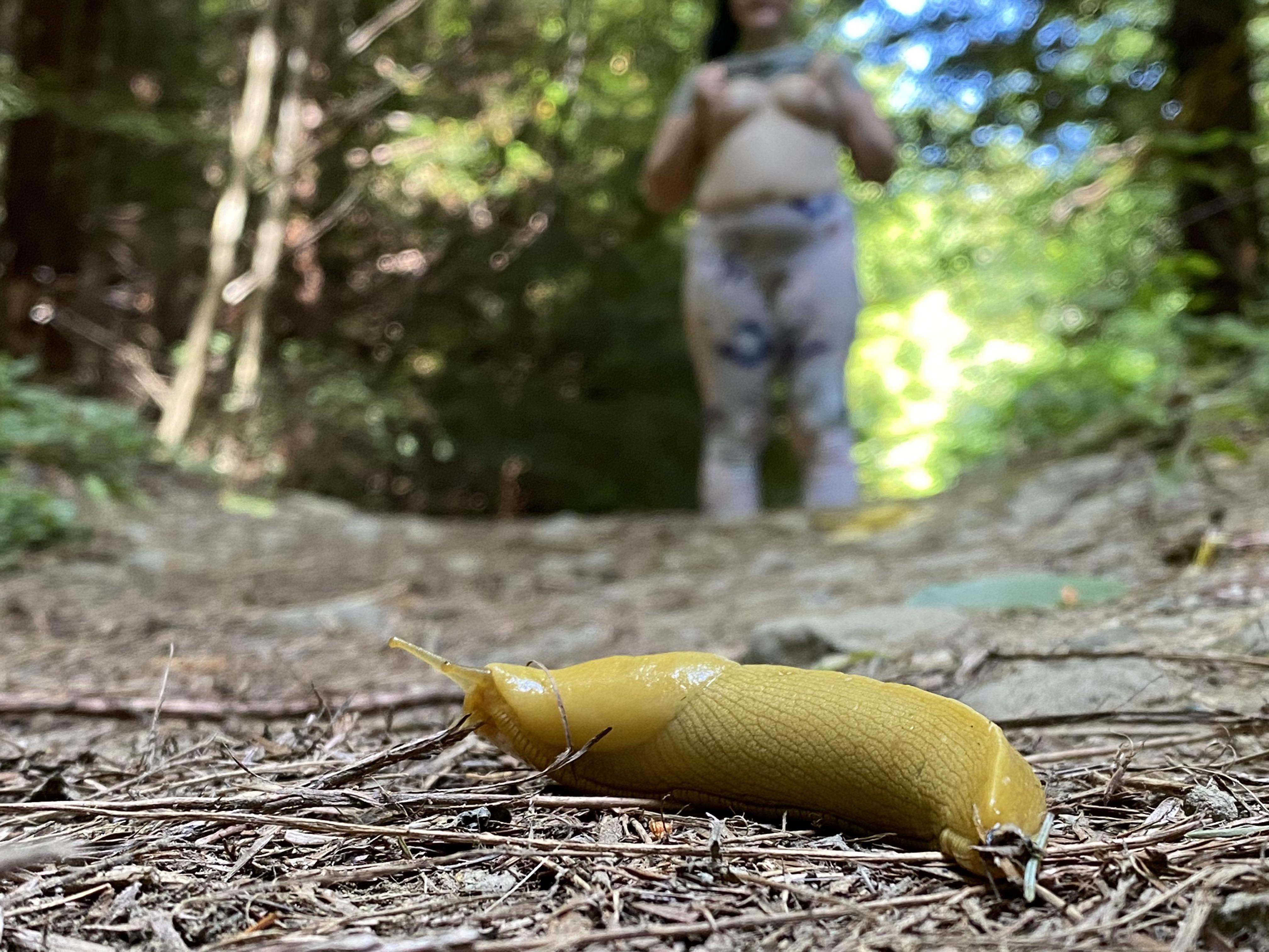 She’s a slut for slugs 🐌 | Scrolller