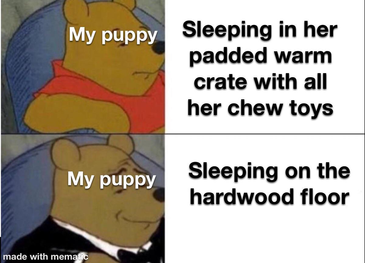 She’s cute tho | Scrolller