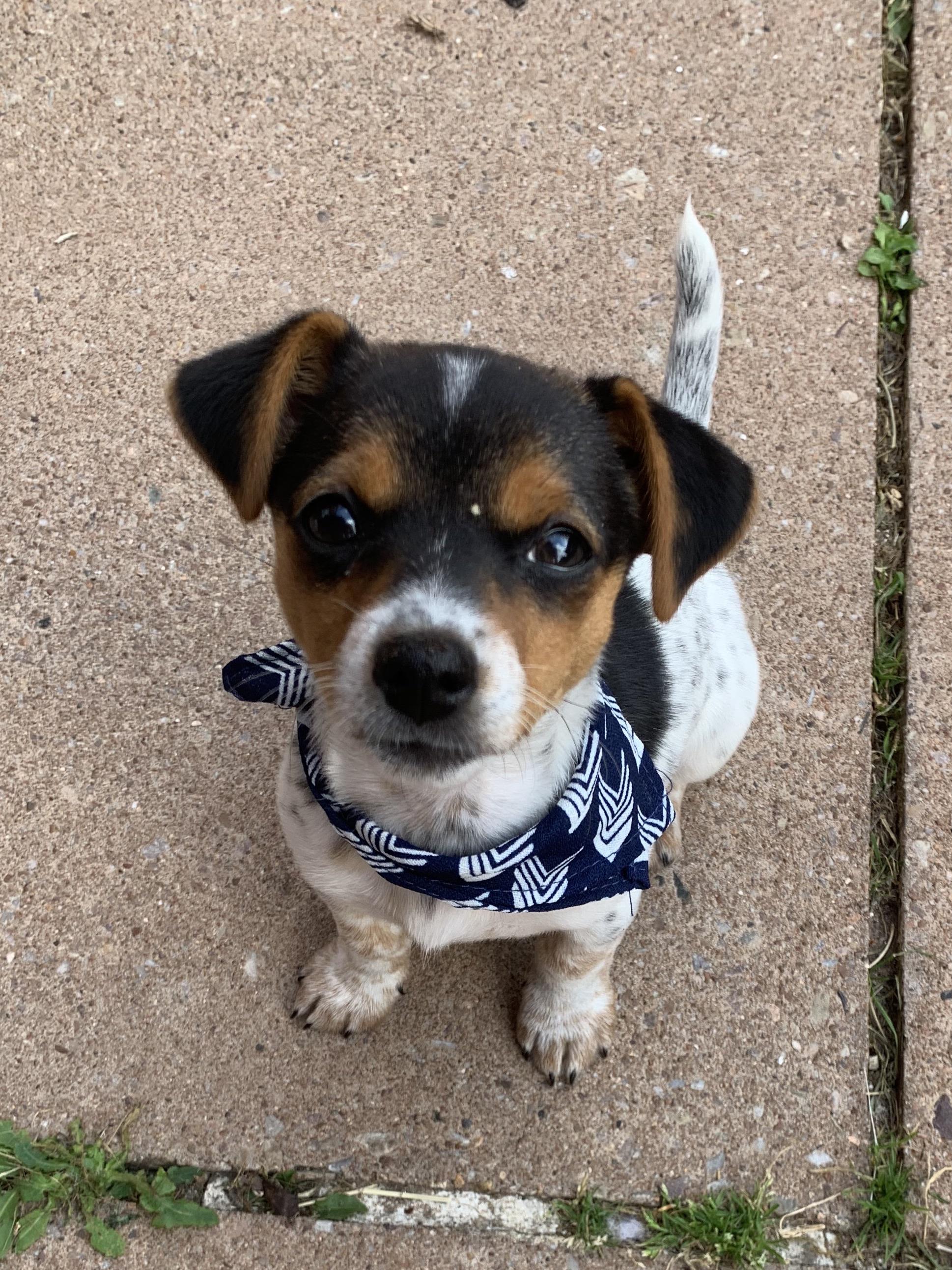 She’s growing so fast! | Scrolller