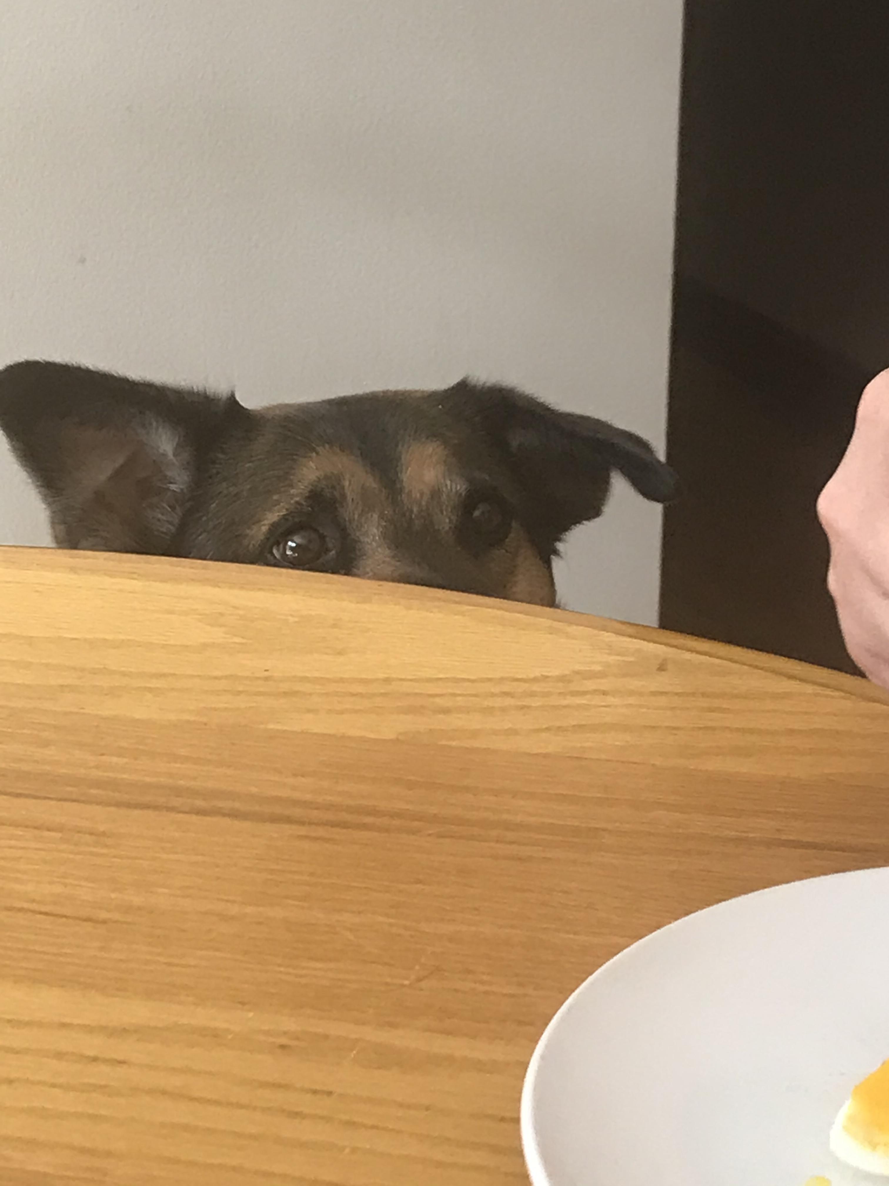 She’s hungry | Scrolller