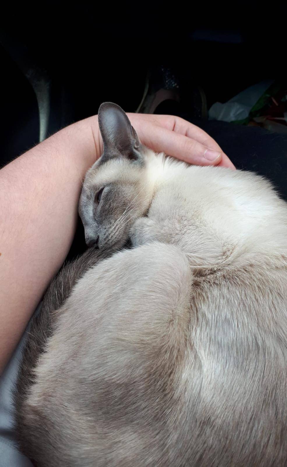 She’s is going into surgery tomorrow. Wish her luck. | Scrolller