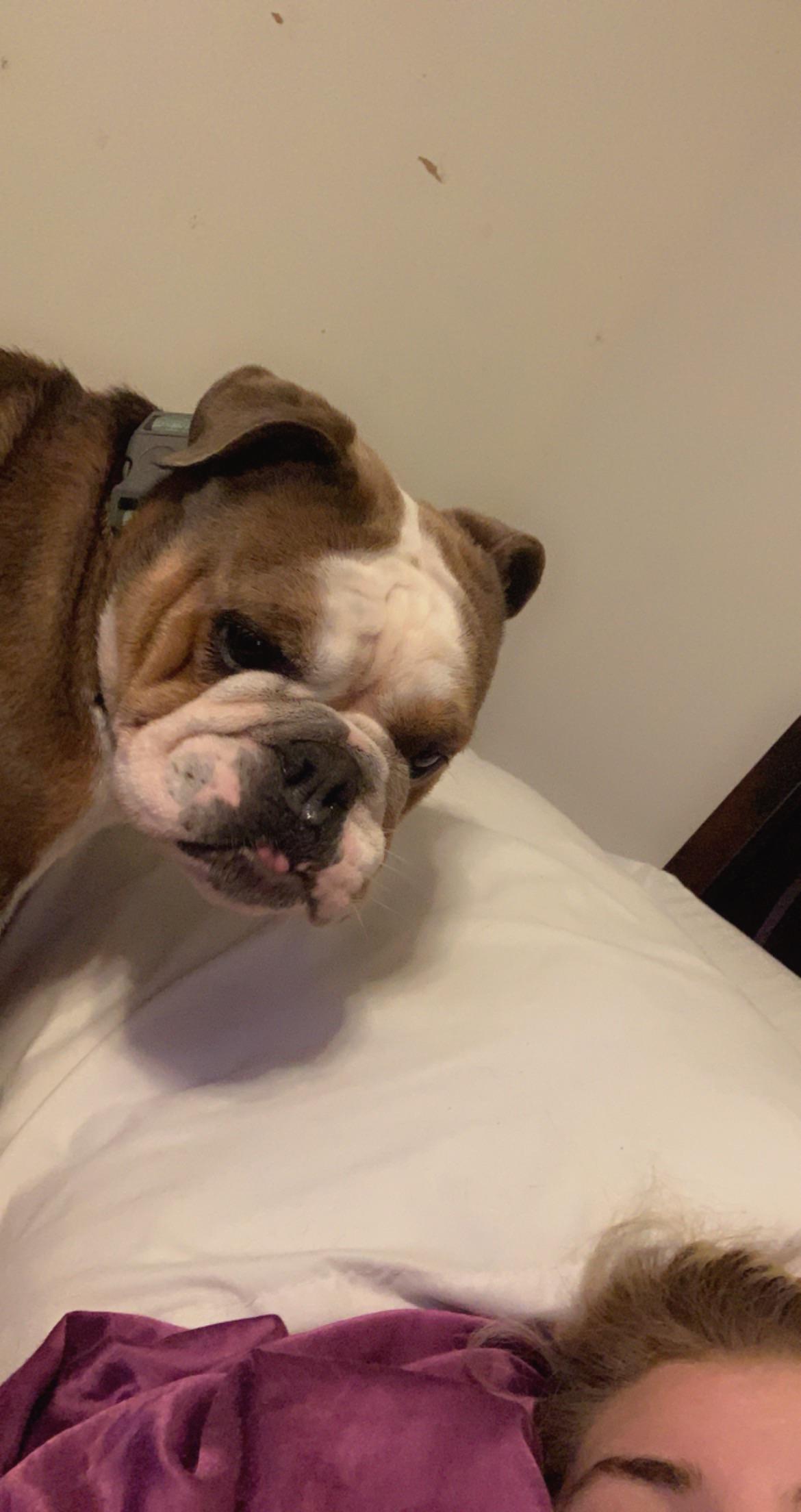 She’s mad I refuse to scratch her butt 24/7 | Scrolller