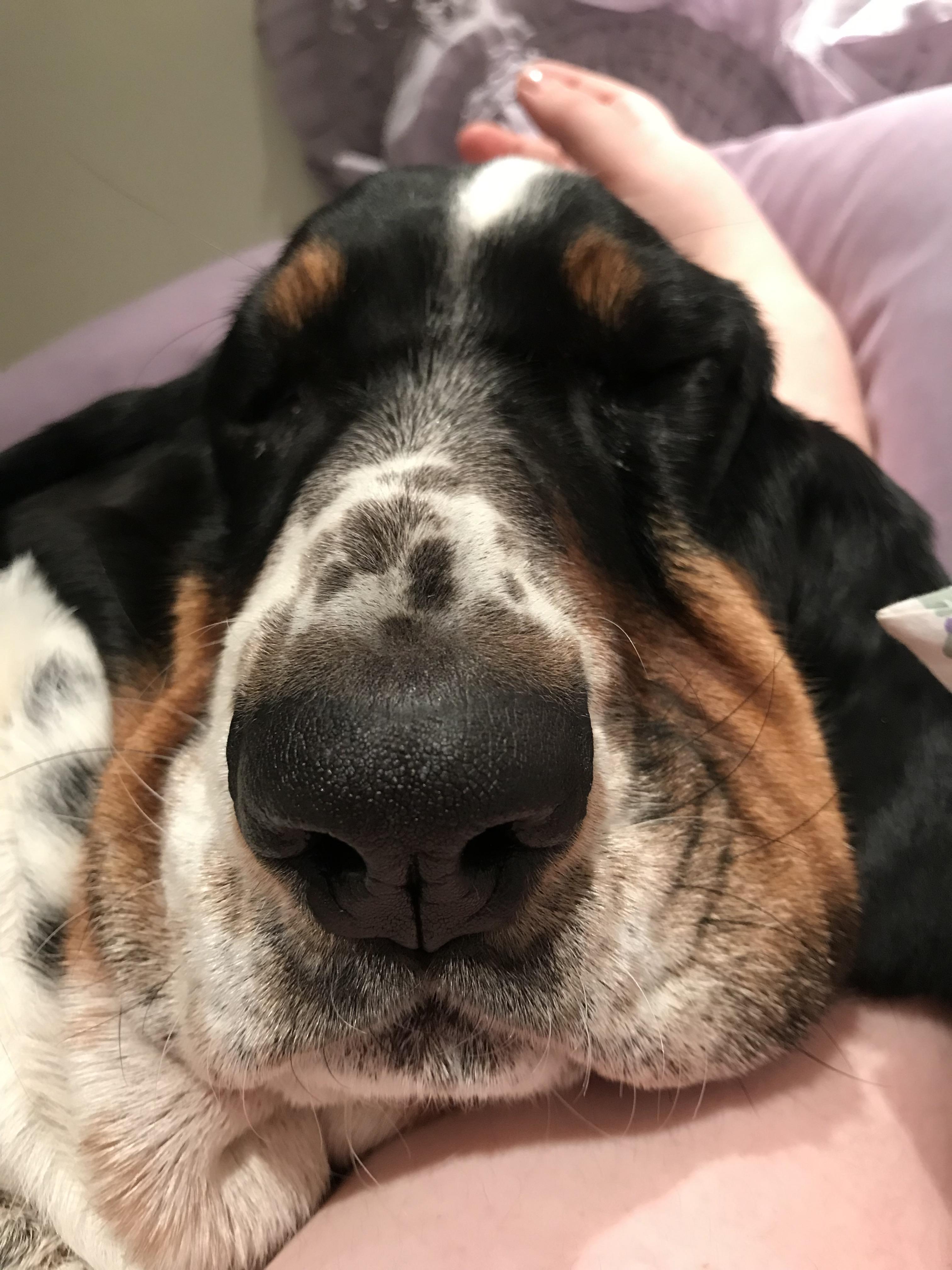 Shes So Squishy In The Morning Scrolller