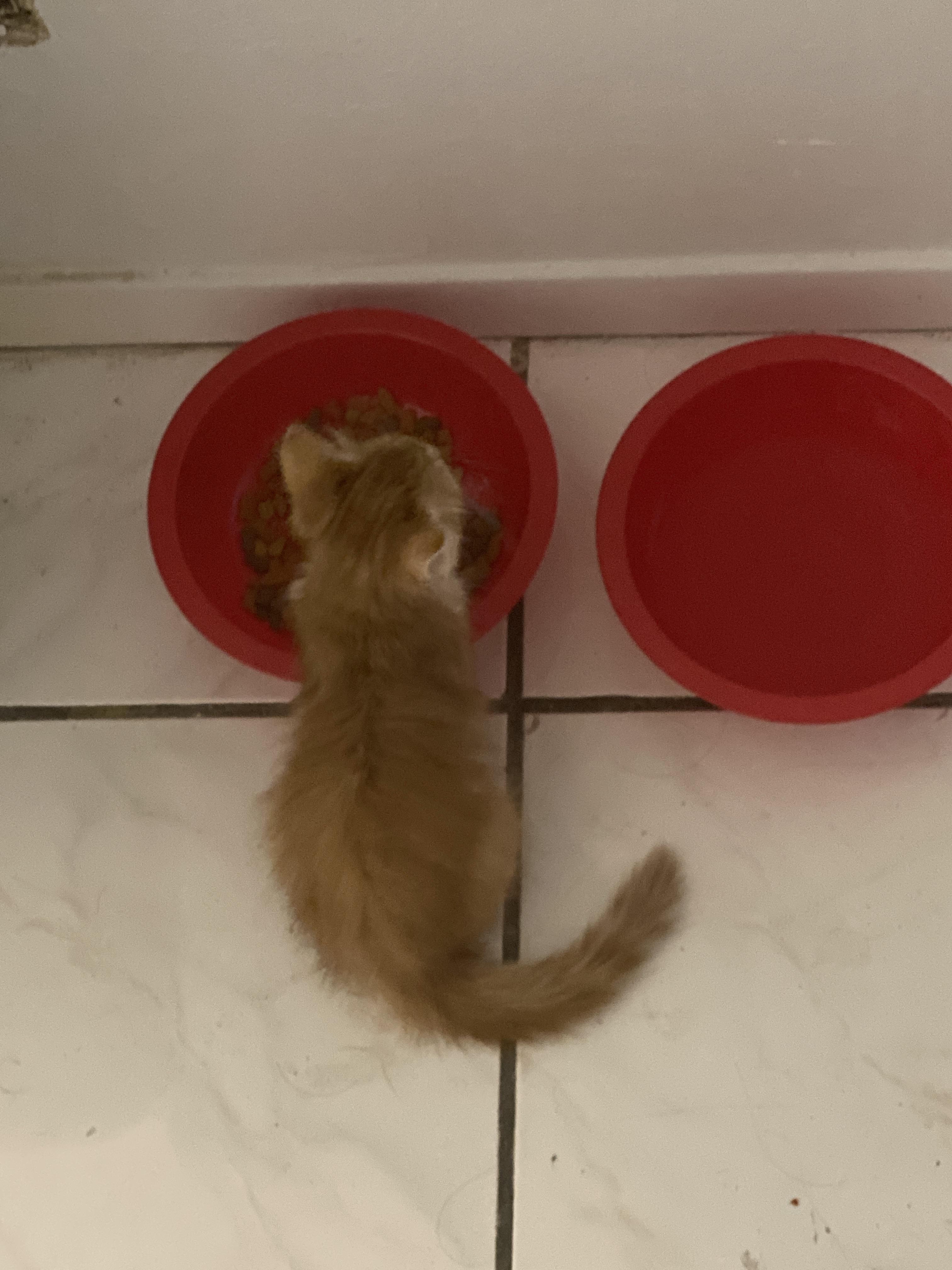 She’s so tiny | Scrolller